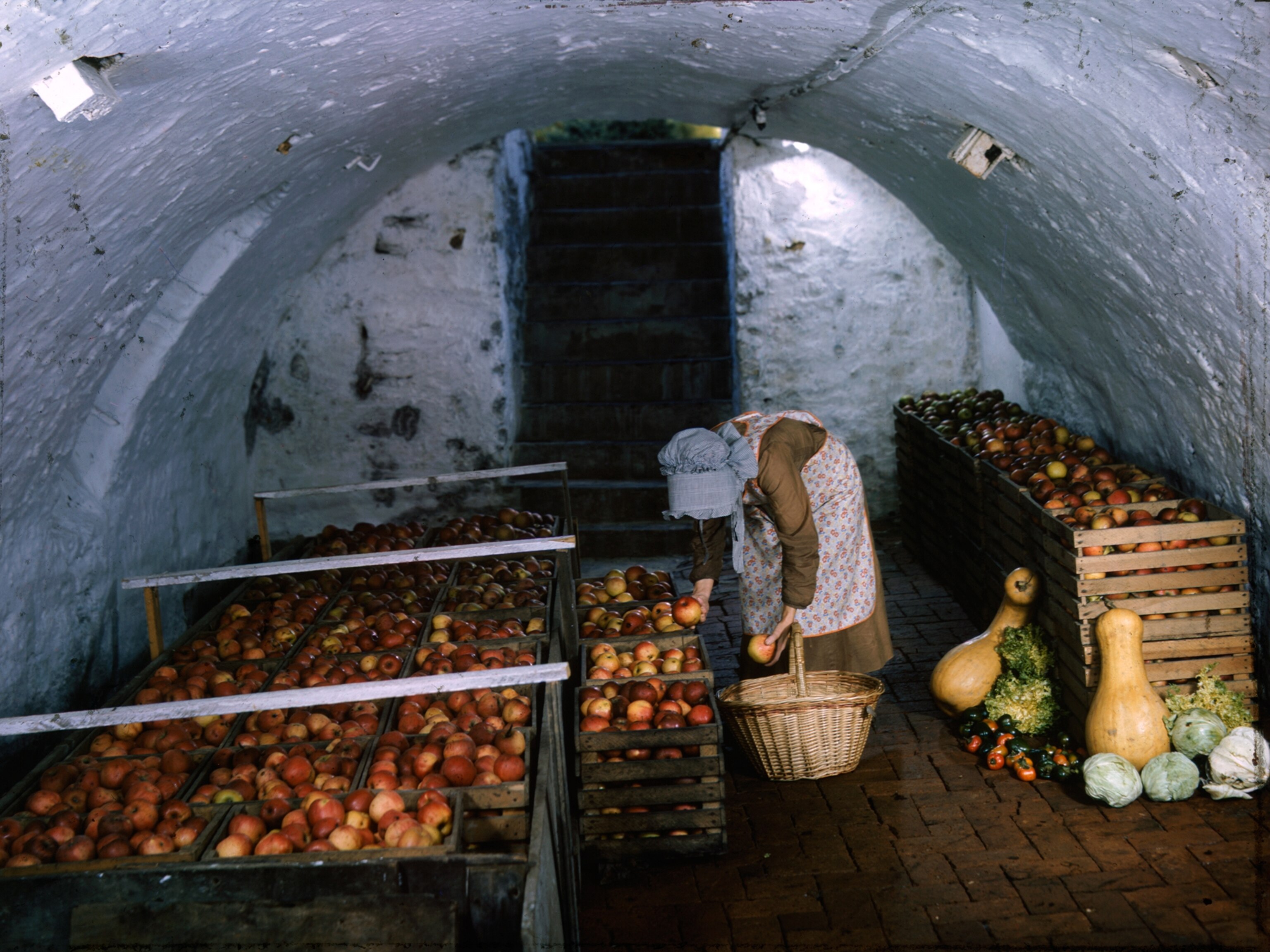 Pi Day Pictures of Pie