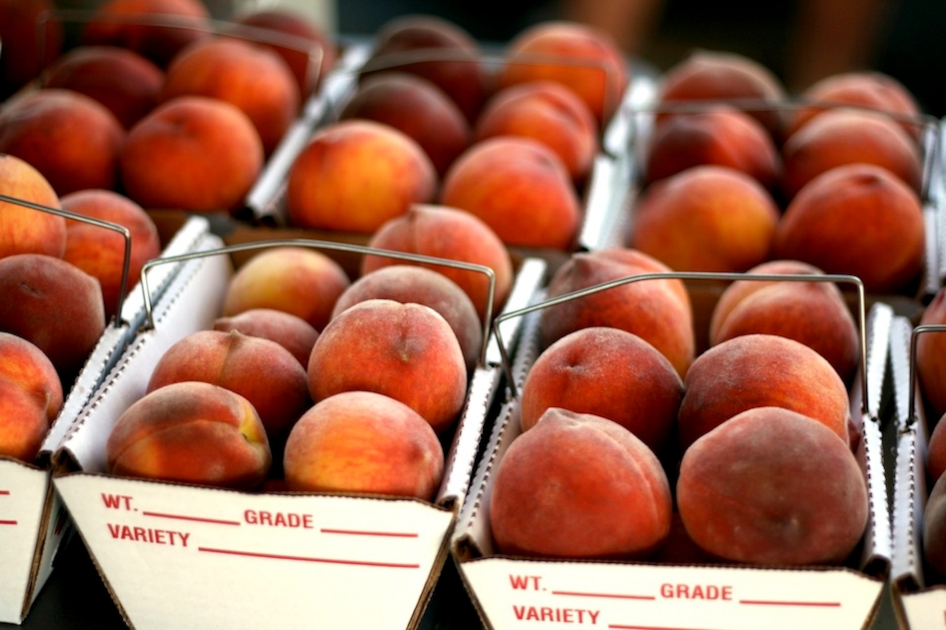 Onward Journal: The Perfect Peach