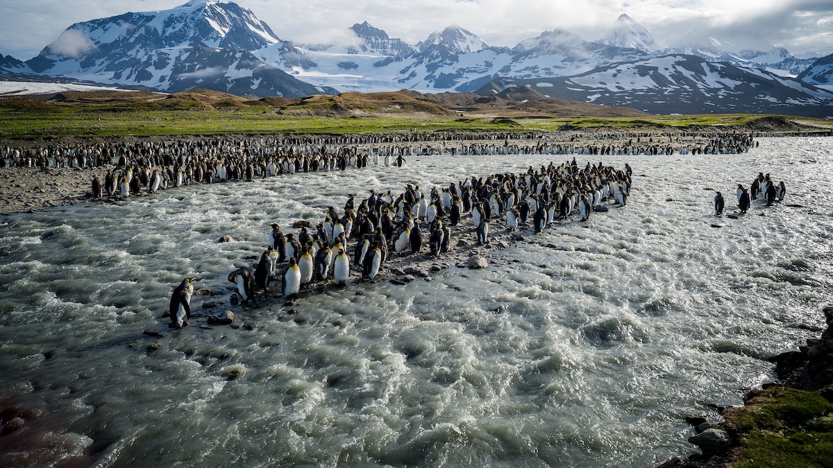 World's Best Destinations for Bird-Watching | National Geographic