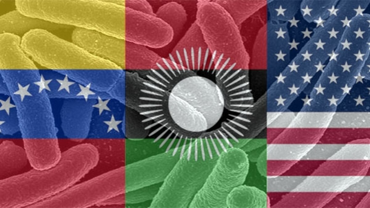 Three nations divided by common gut bacteria | National Geographic