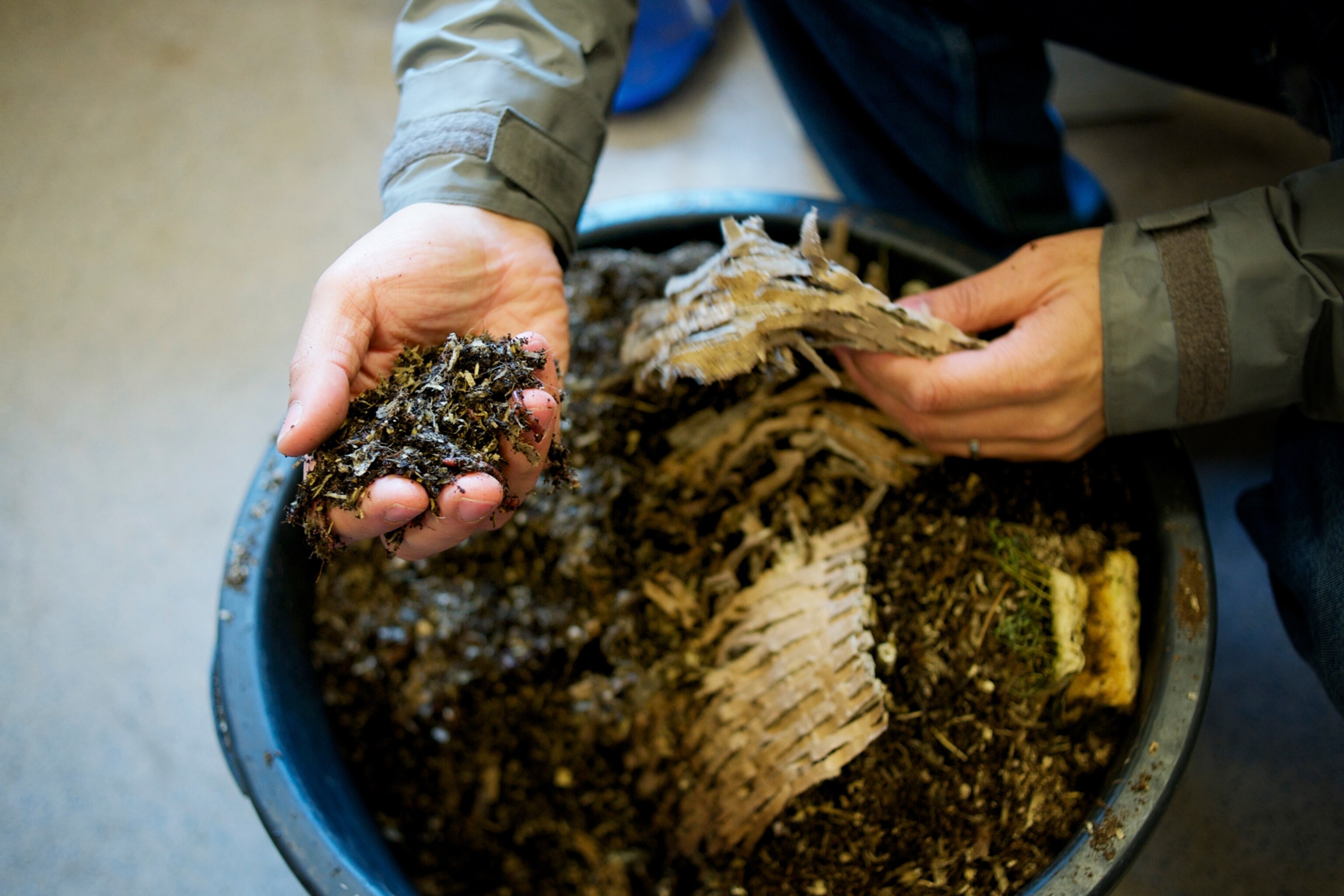 How to compost—and why it’s good for the environment