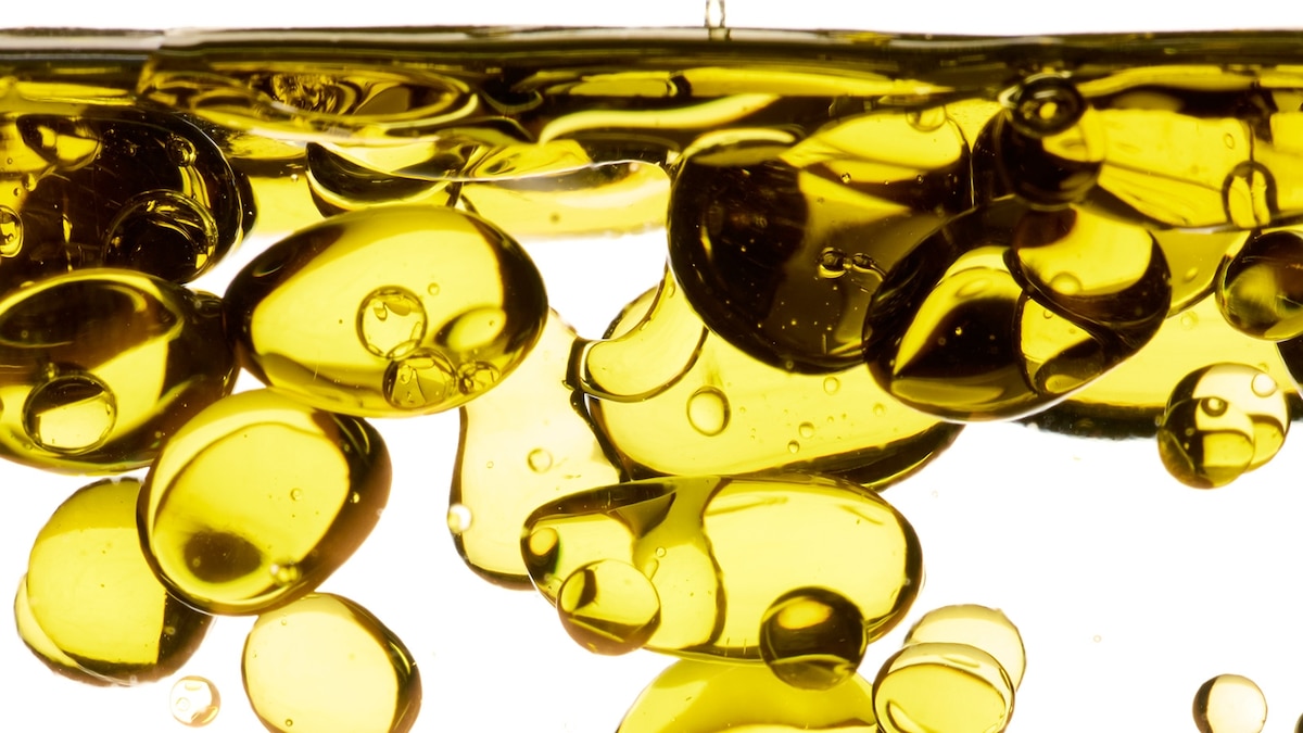 Are seed oils bad for your family? Here's what the science says ...