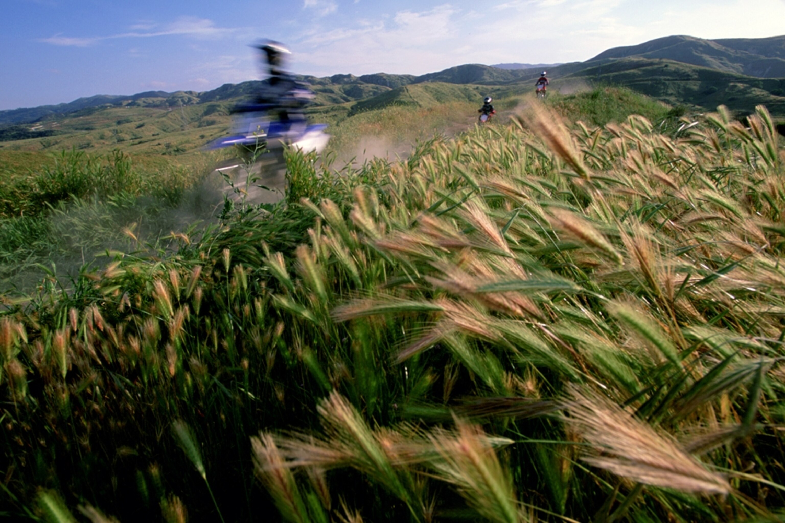 Blue Zones -- California -- National Geographic