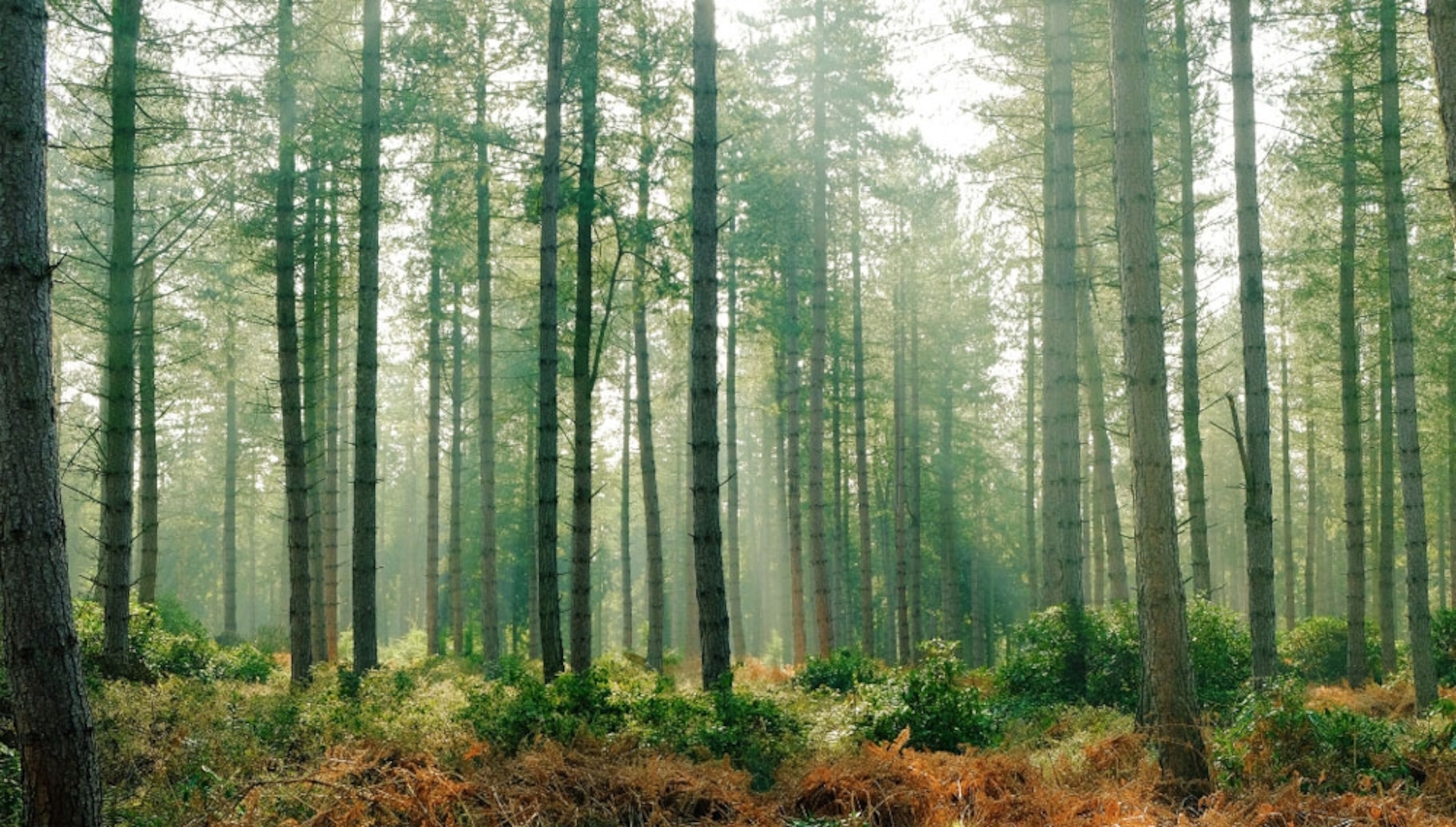 How To Make Better Health Predictions From Our Gut Microbes | National ...