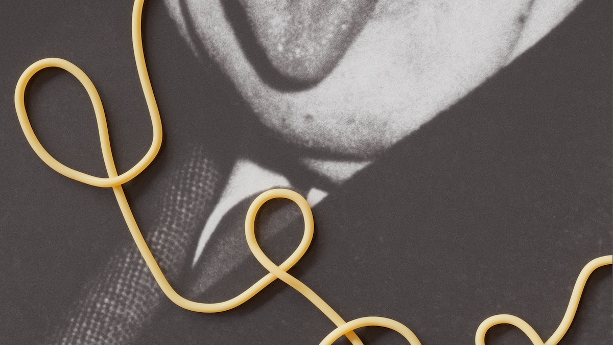 Scientists go on a quest for the ‘right’ way to cook pasta | National ...