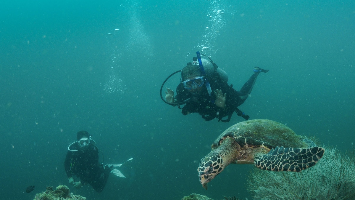 National Geographic Society | Impact | Our Explorers | National Geographic