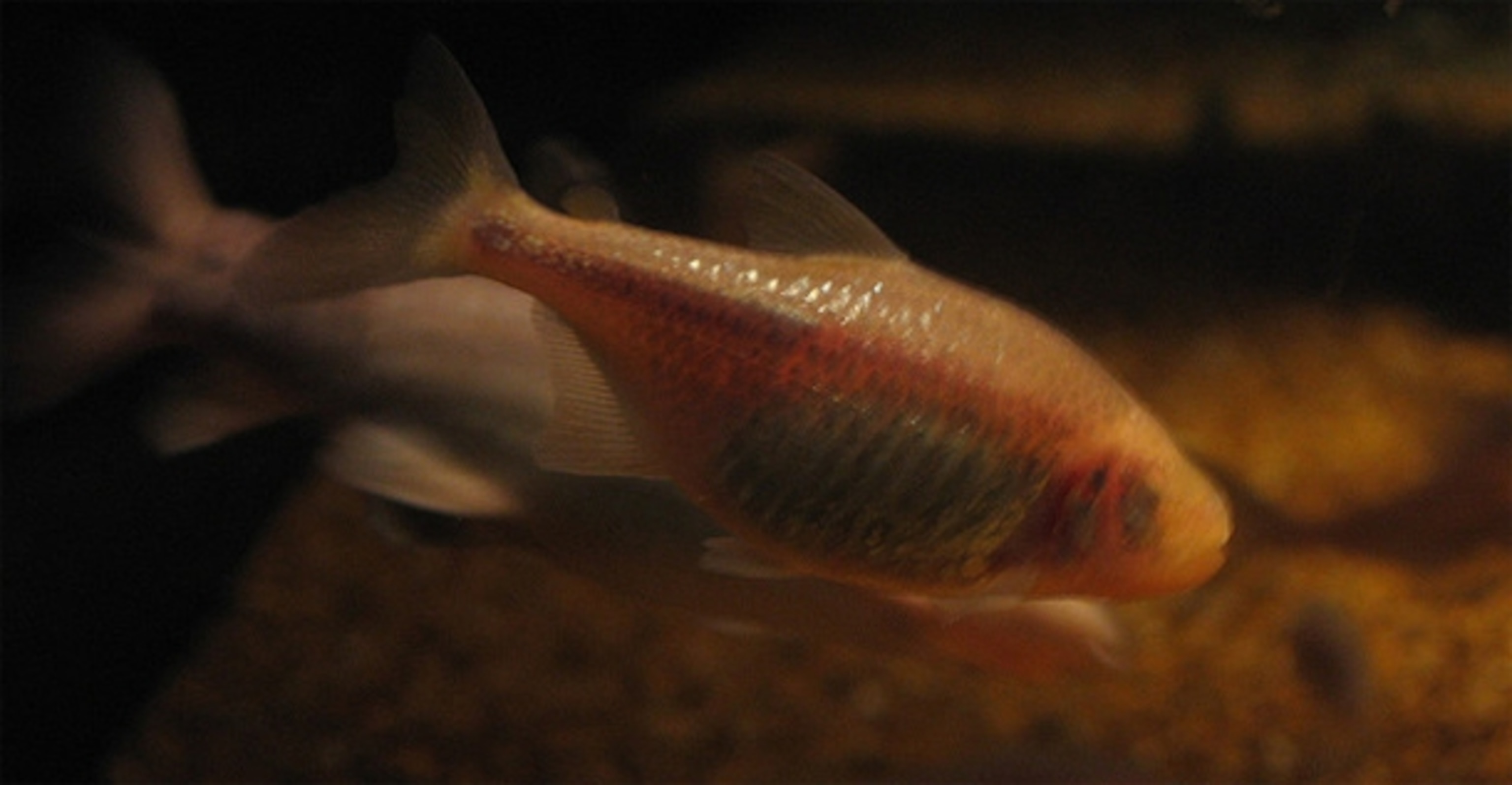 Galápagos Monday: World Within Itself | National Geographic