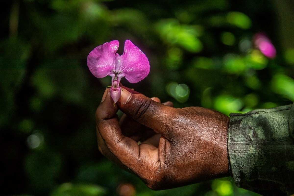 Colors and Contrasts of Rwanda