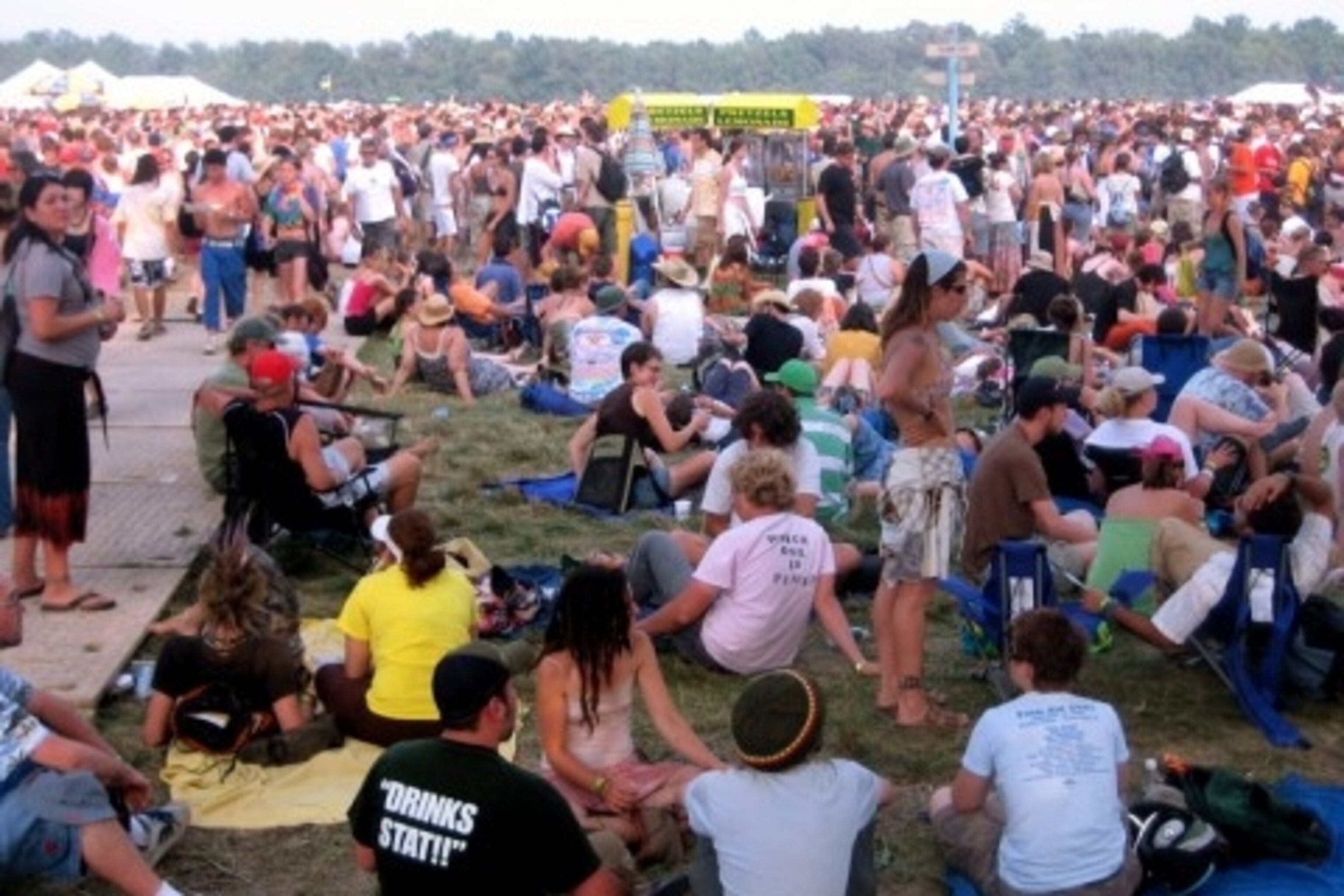 Music Festivals Rock