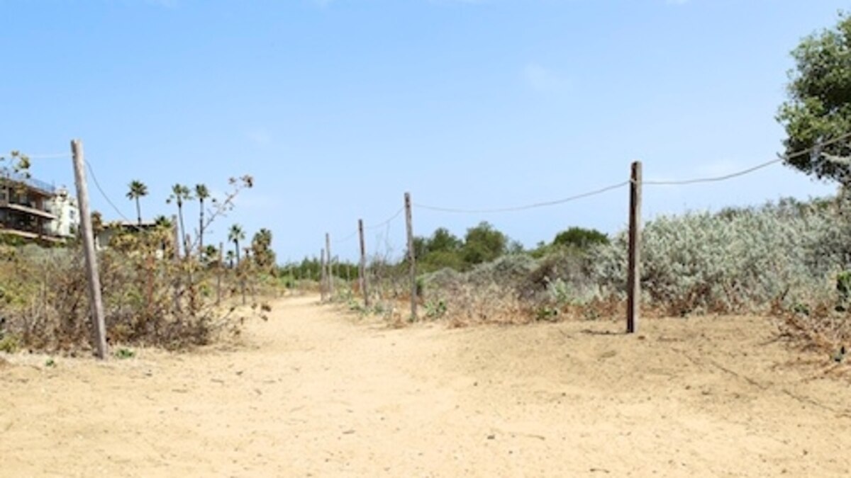 The Real Southern California: Marina del Rey’s Ballona Wetlands ...