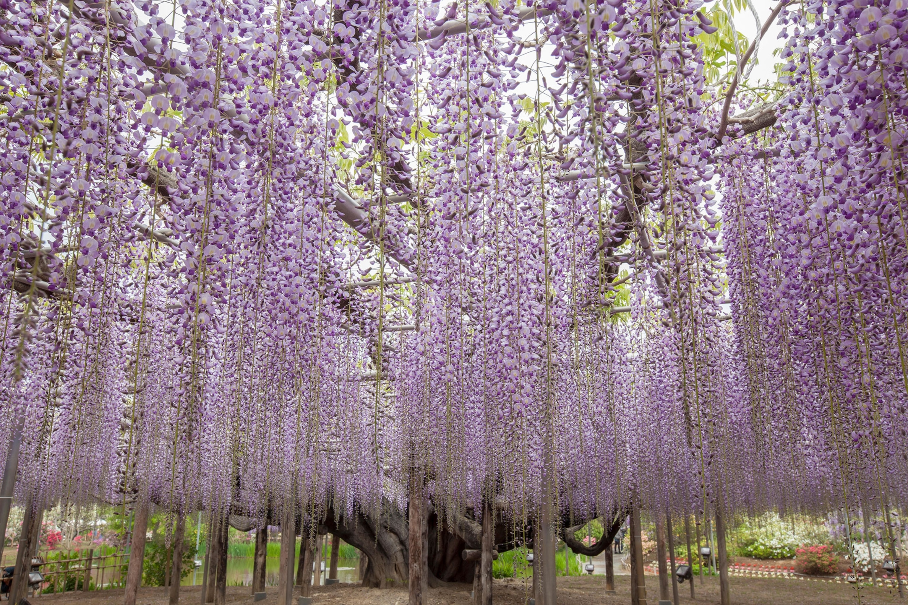 How did I survive Iwo Jima?