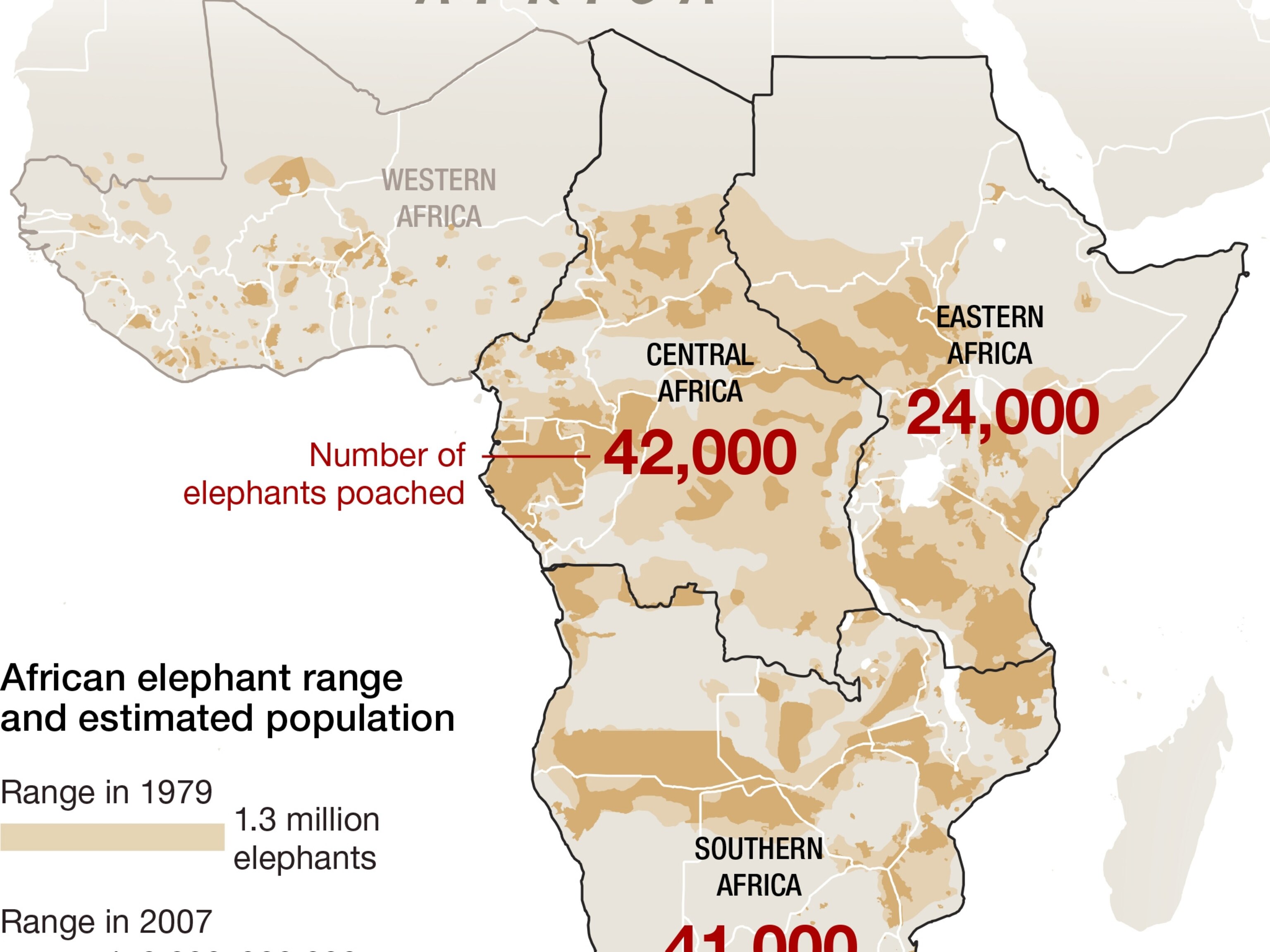 Elephant Poaching In Africa