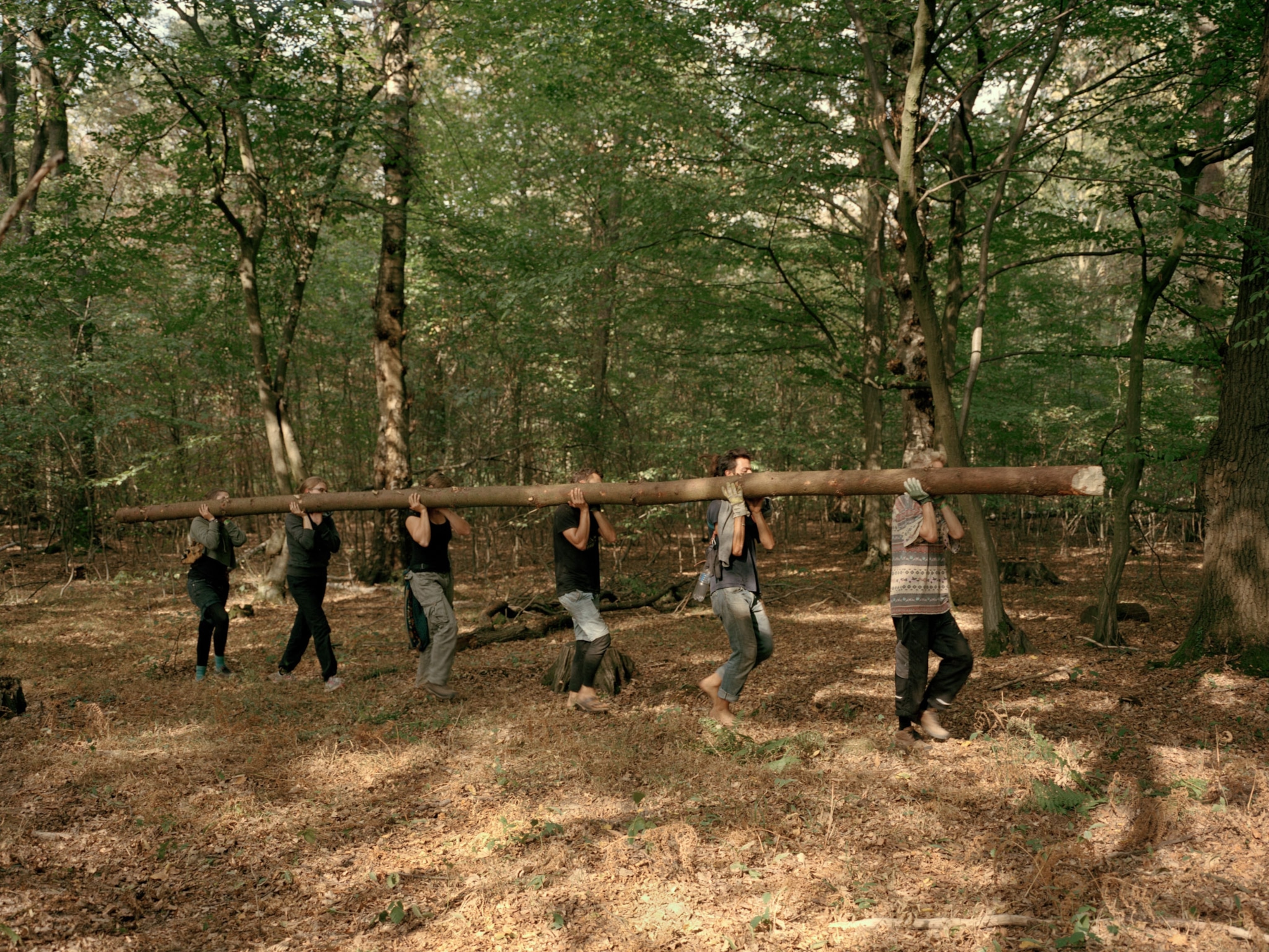 Photos of protests in Germany's Hambach forest