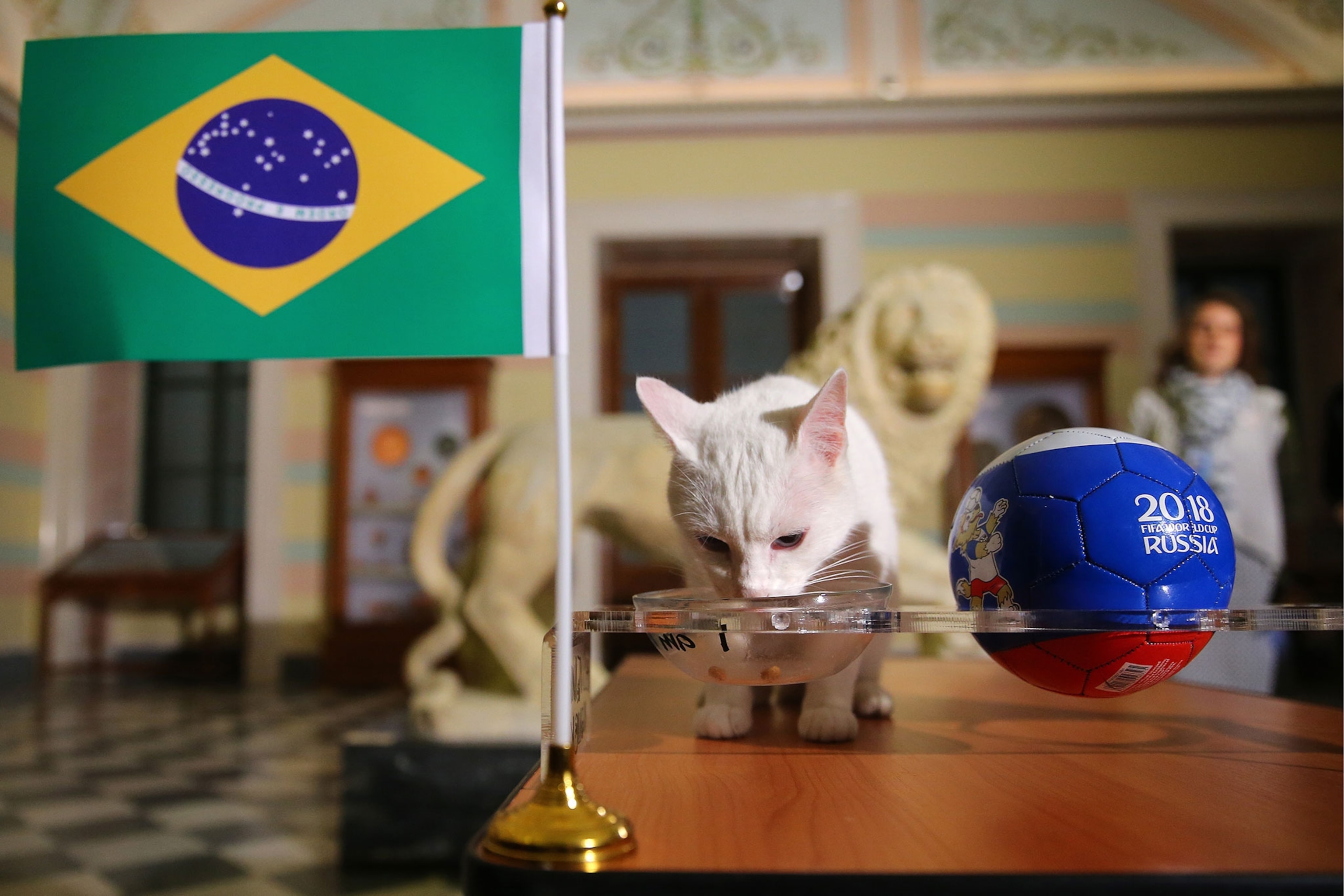 The Science Behind 'Psychic' Animals That Predict the World Cup