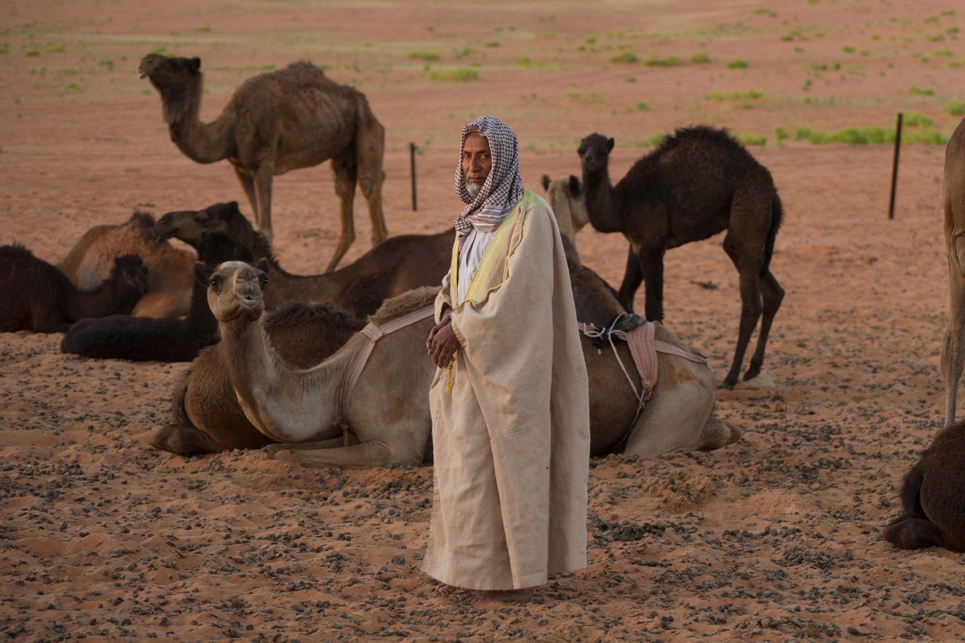 As MERS Virus Spreads, Key Questions and Answers | National Geographic