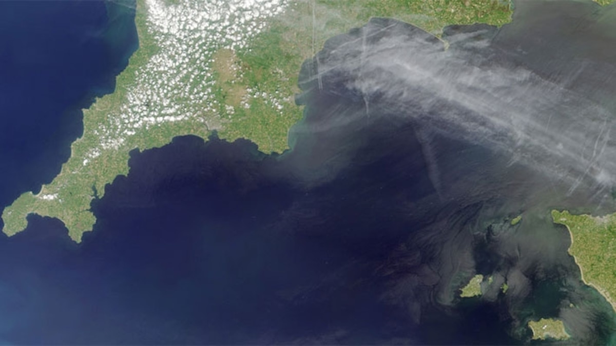 Is Everything in the English Channel (and Everywhere Else)? | National ...