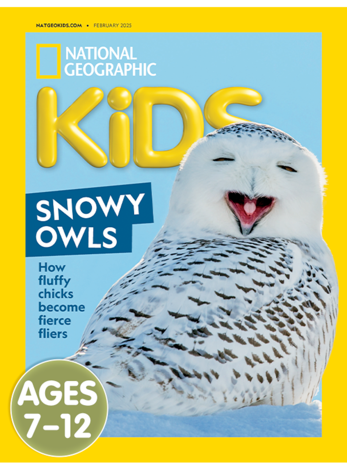 National Geographic Kids Magazine Subscription