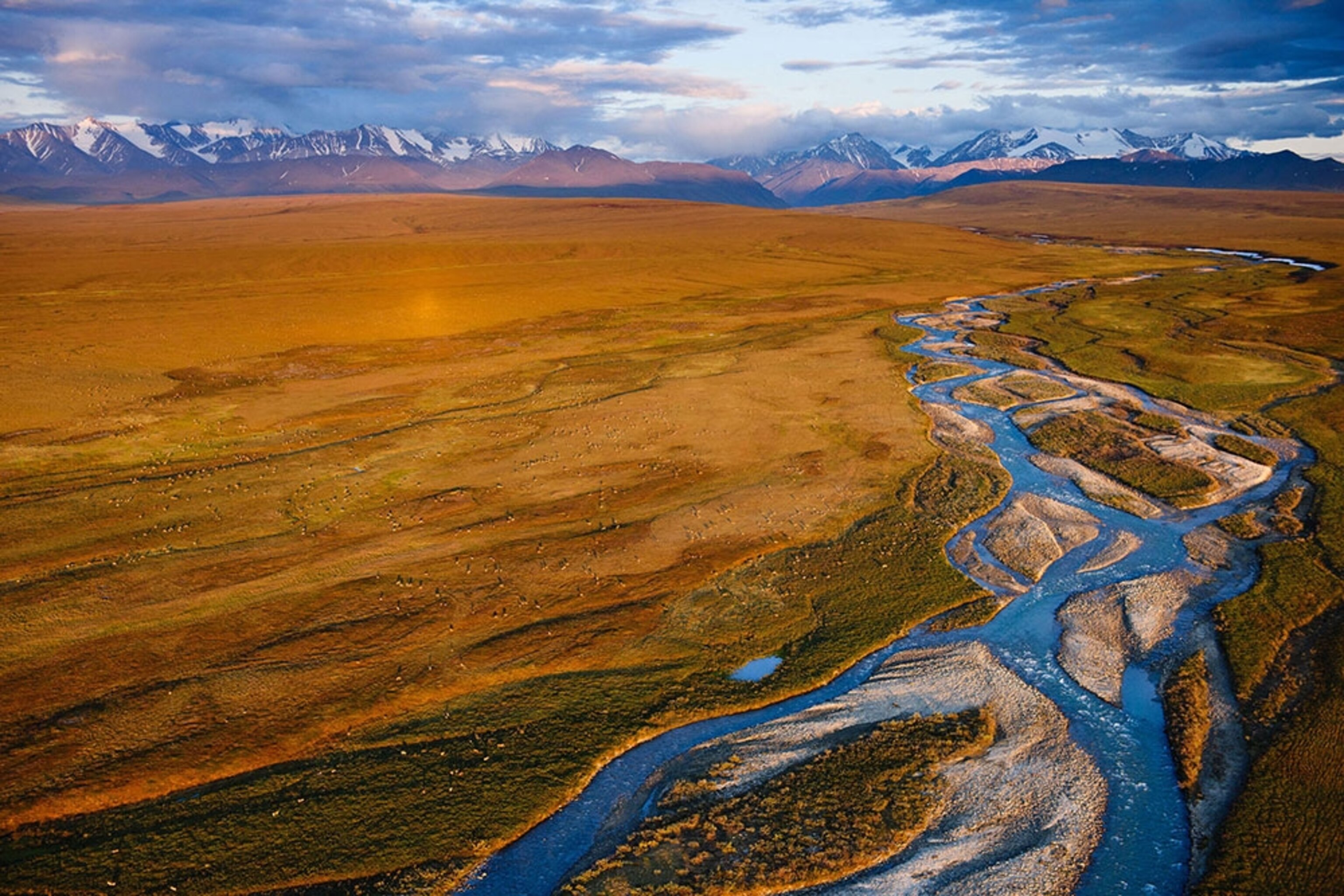 Wildlife wins in latest arctic turn