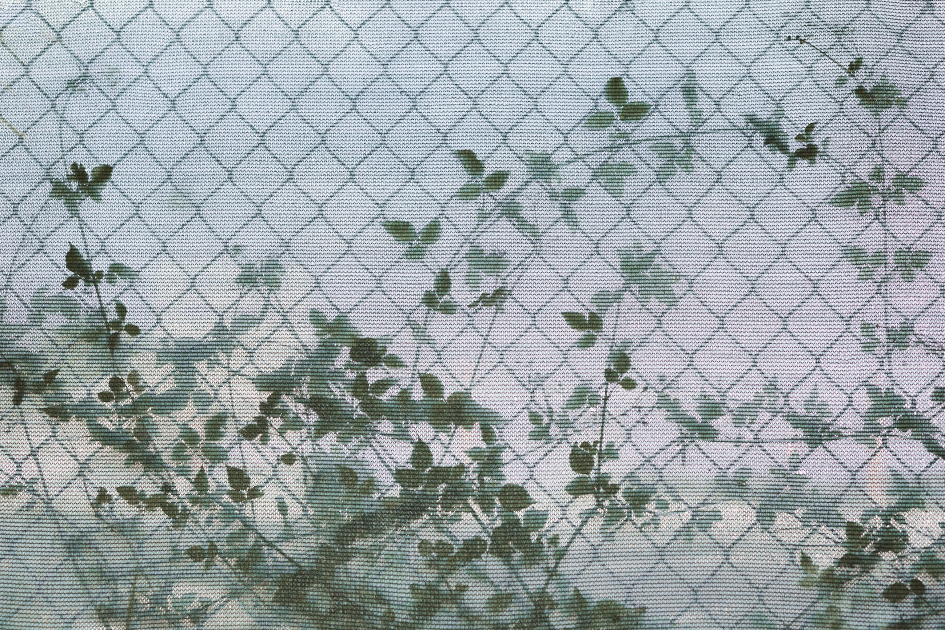 The hidden sites of Japanese incarceration in Hawaii