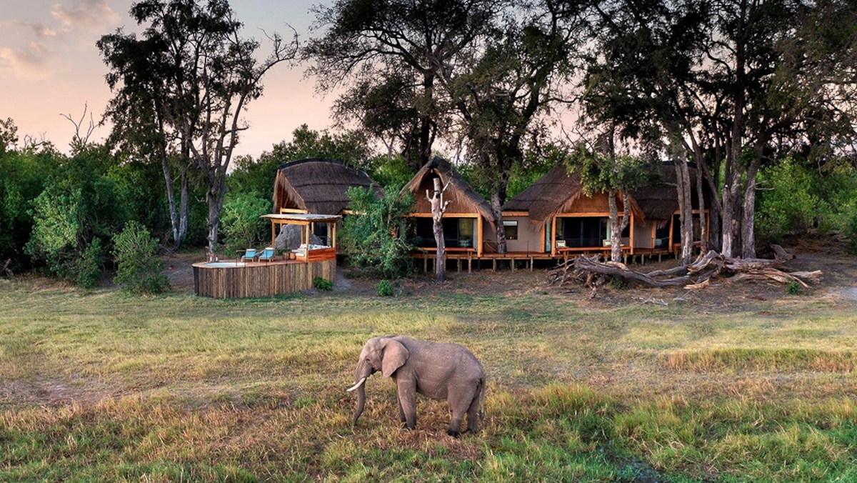 Do luxury safaris make a difference? | National Geographic