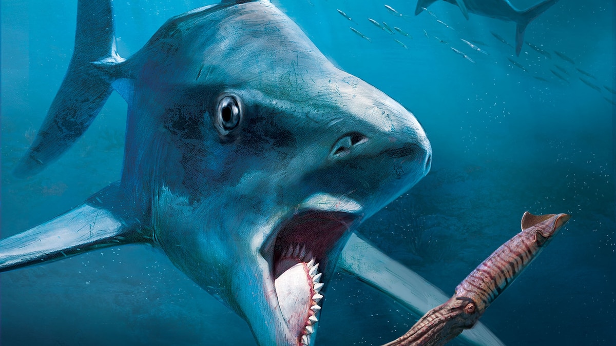 This mysterious ancient predator had a killer jaw | National Geographic