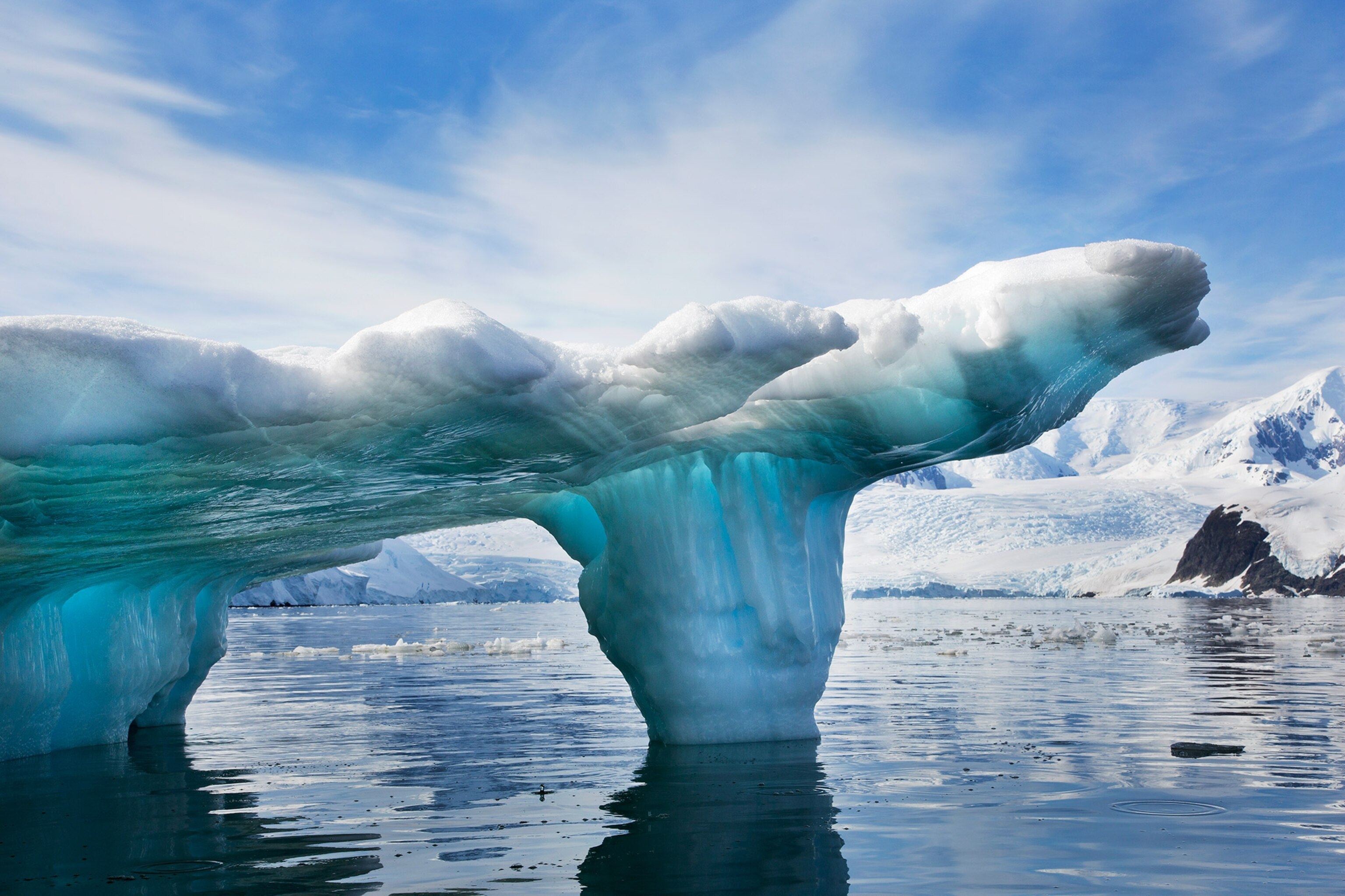 Iceberg Alley: The art of iceberg chasing in Newfoundland