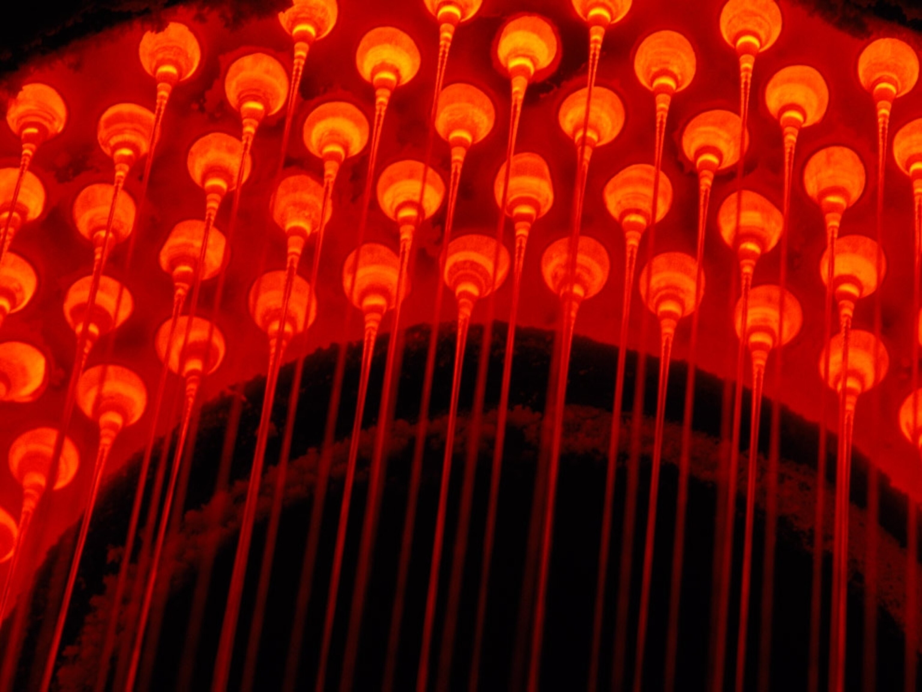 Life in Color: Orange, Orange Pictures -- National Geographic ...