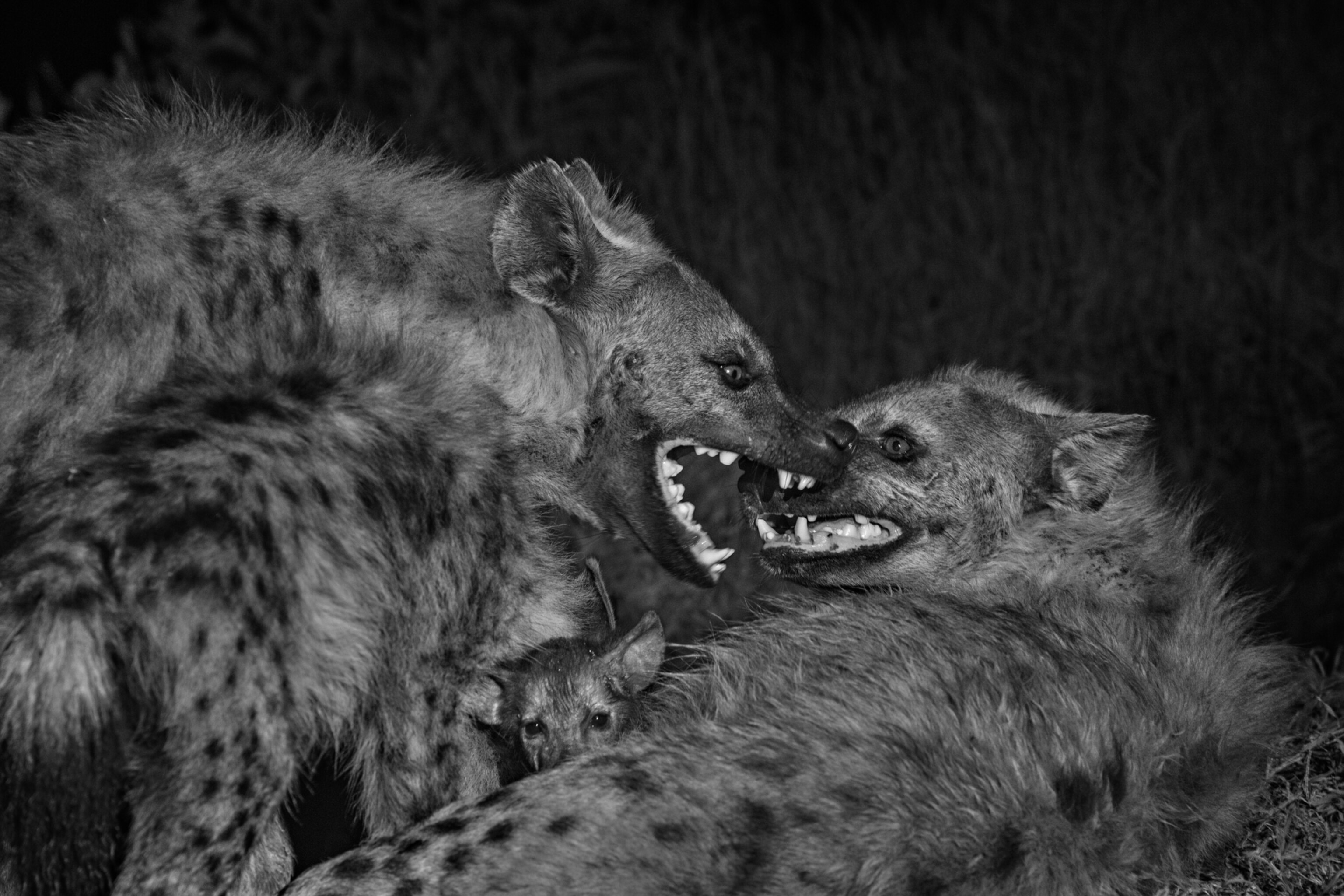 The story behind 9 of the photos from our Pictures of the Year