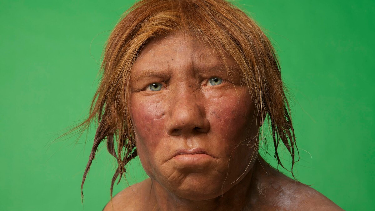 How Microsoft’s New Age Detection Software Works (and Doesn't ...