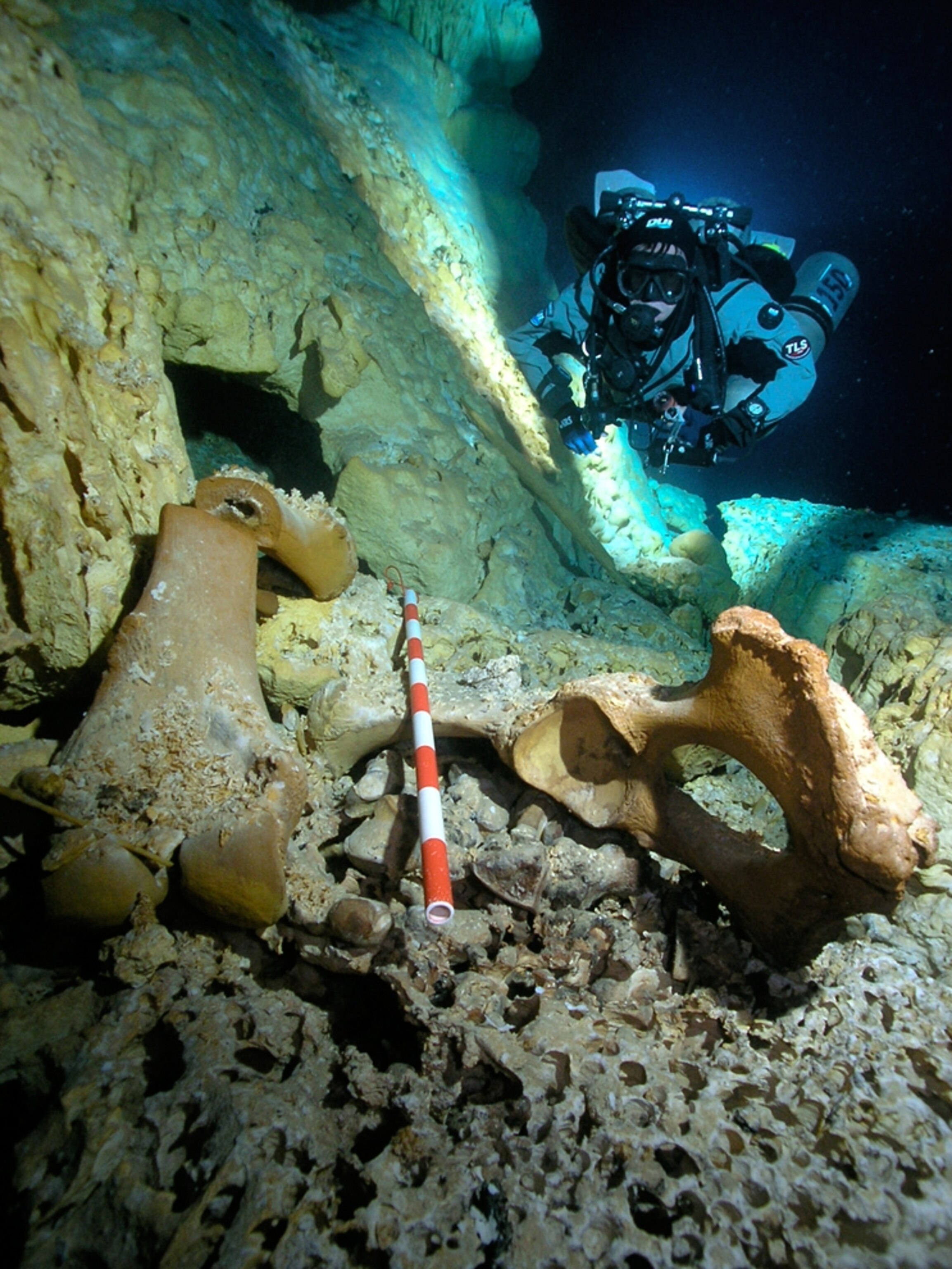 Pictures: Prehistoric American Skull Found in Sea Cave?