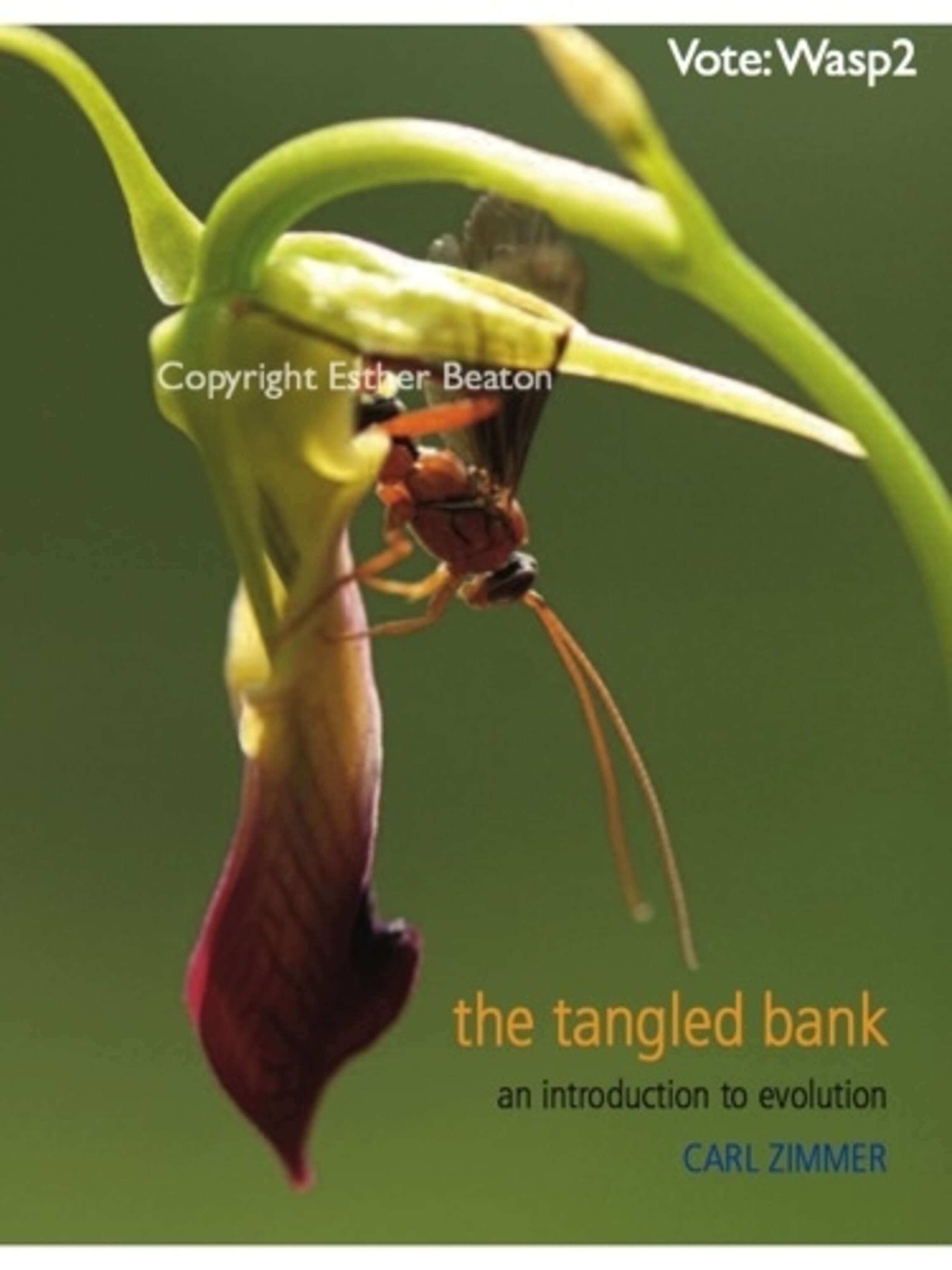 A Request For The Design Hive Mind: Vote For A Tangled Bank Book Cover