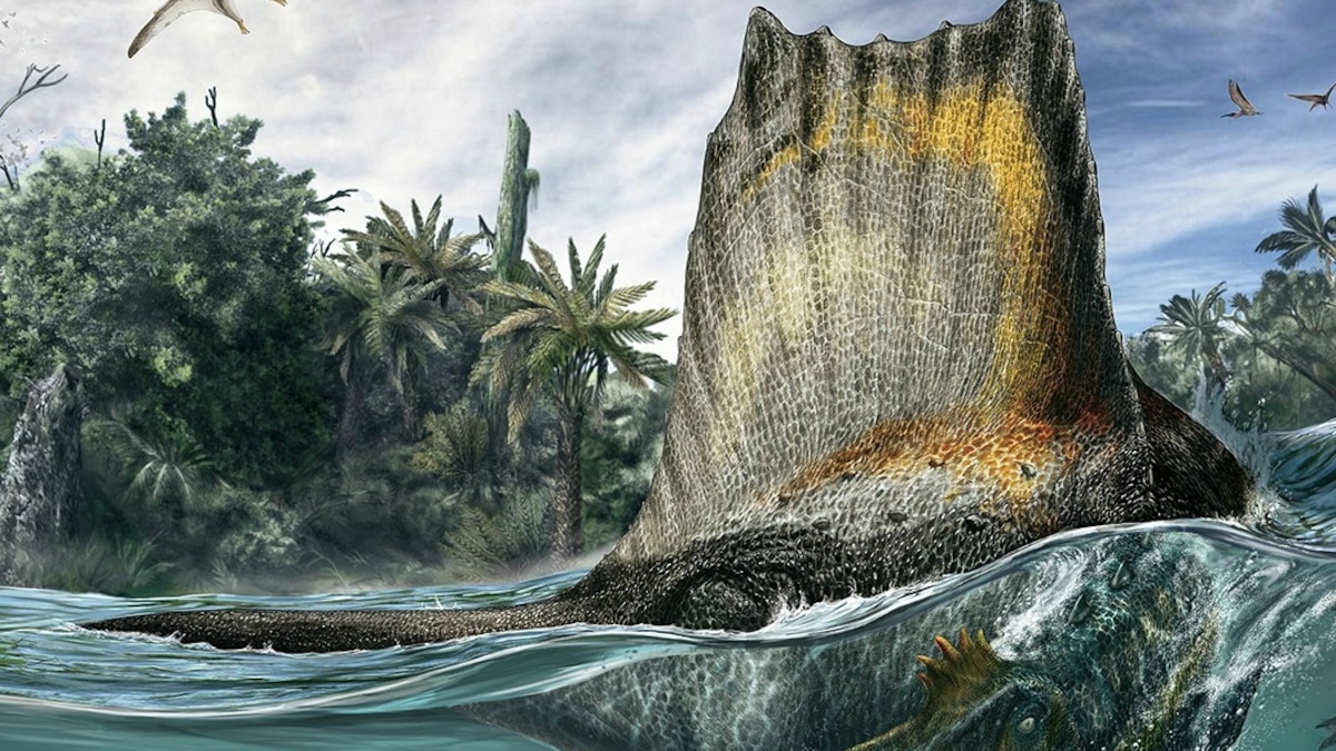 The New Spinosaurus | National Geographic