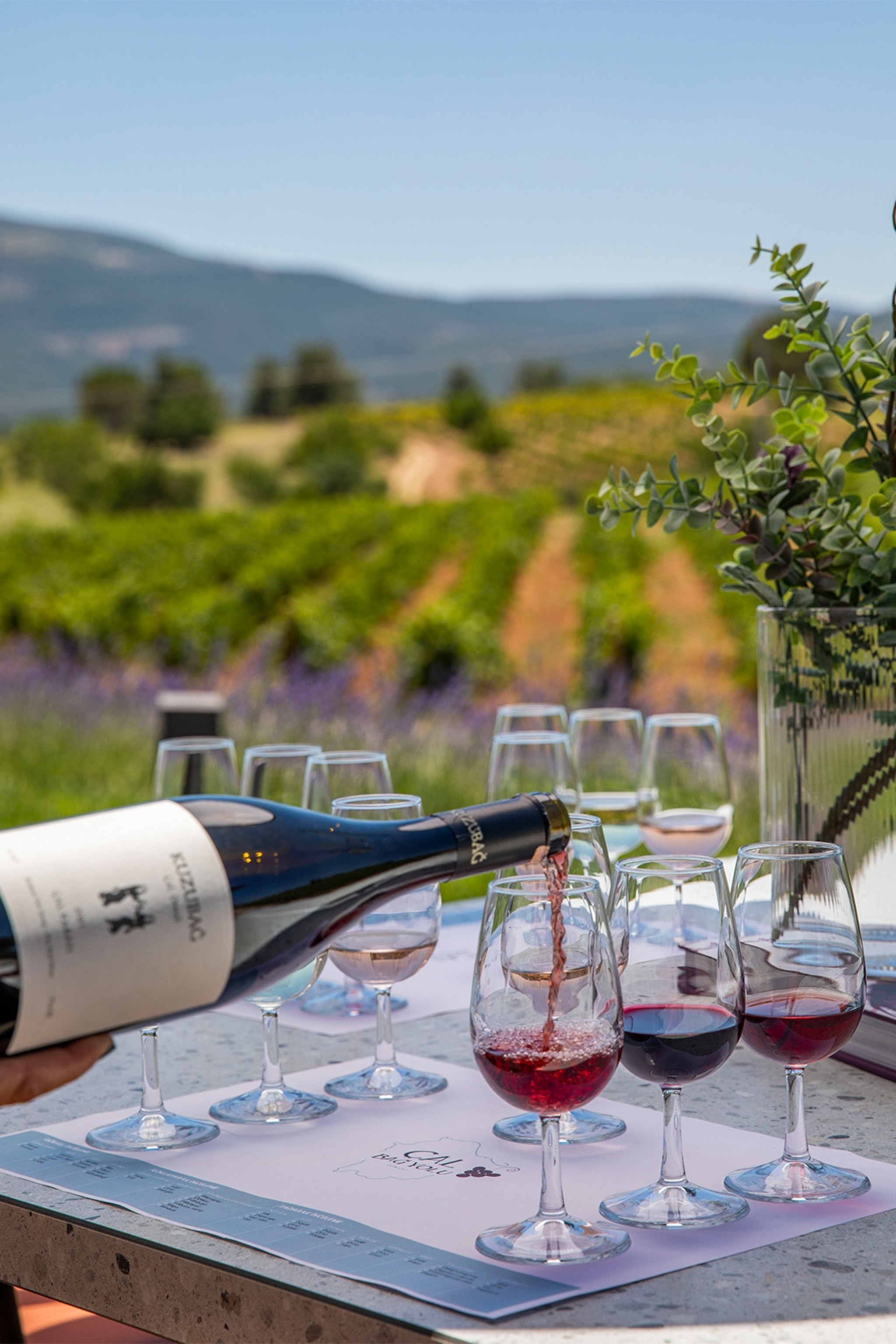 Why you should discover Çal, Turkey’s newest wine trail