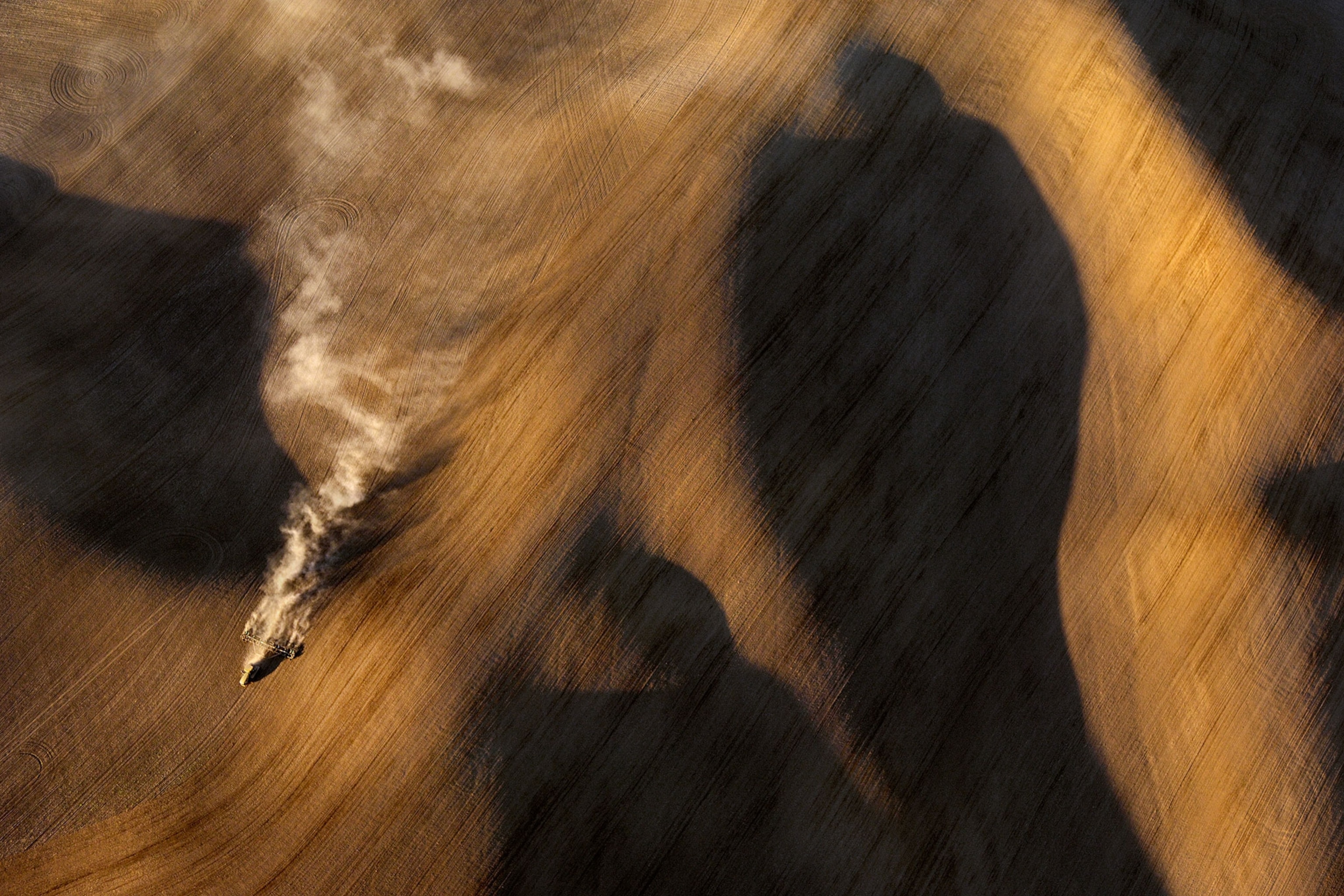 Tardigrades, Shrimp, and Other Extreme Life-Forms