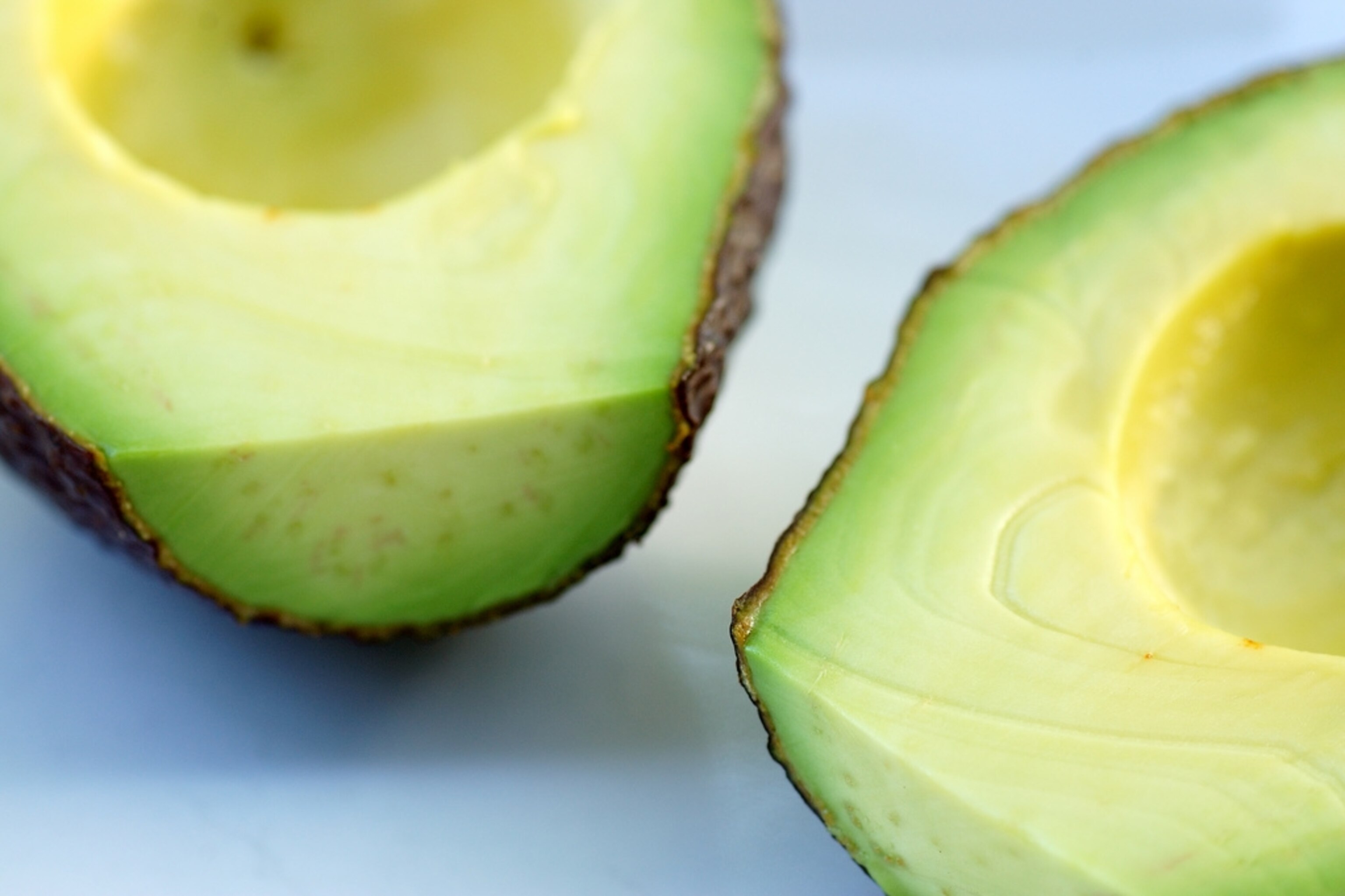 How Hungry Humans Saved the Avocado