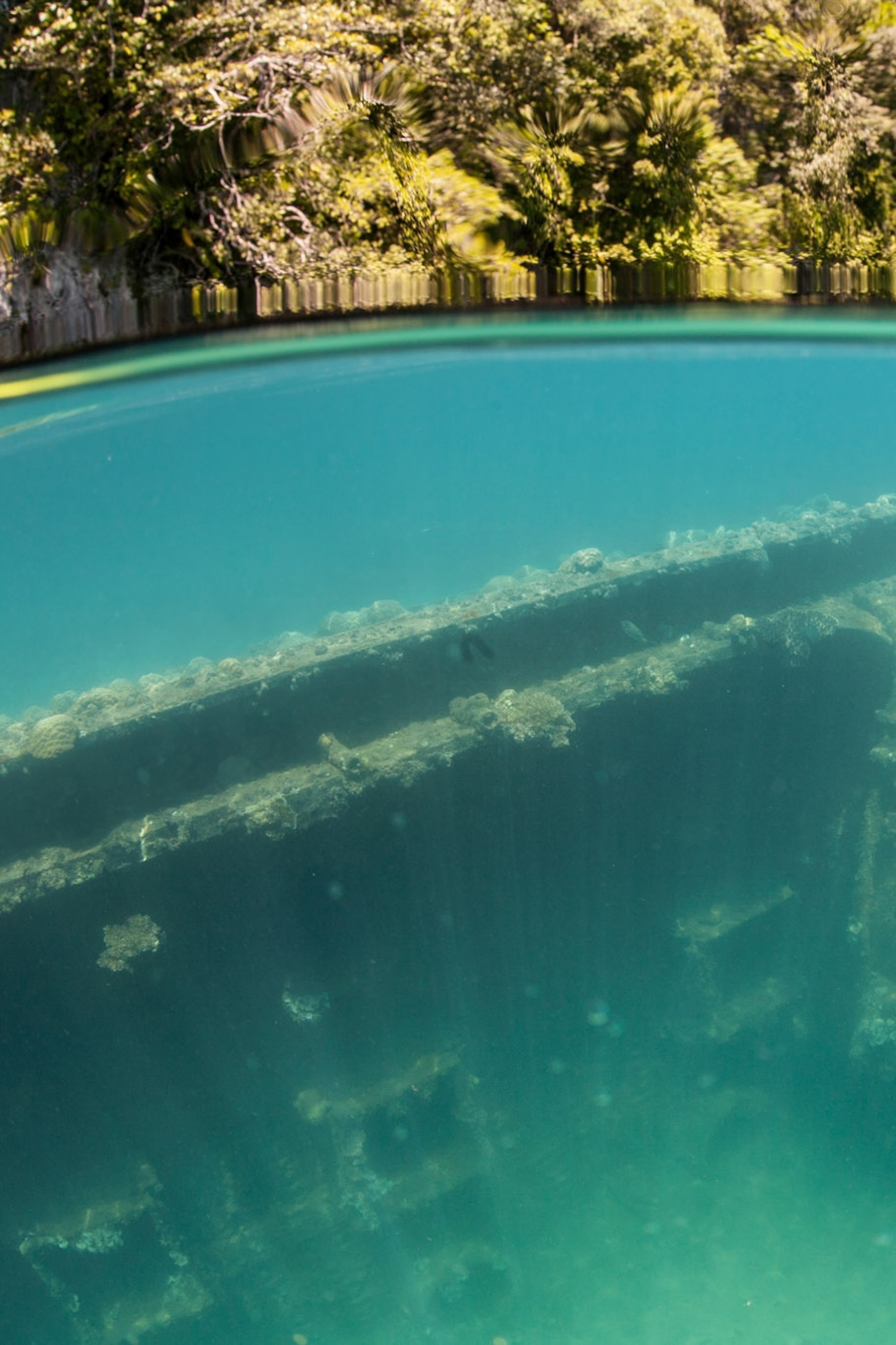 Clearest Water In The World National Geographic