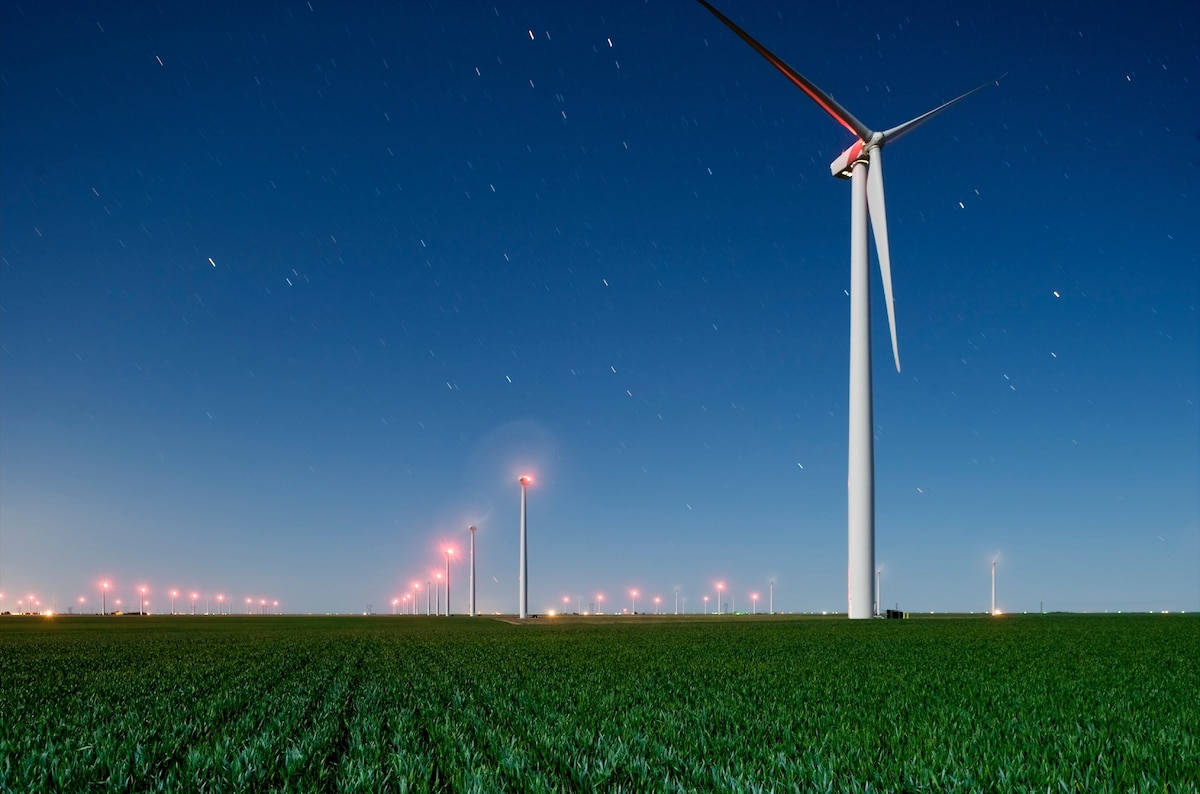 Wind Industry Plans Serious Changes to Protect Bats