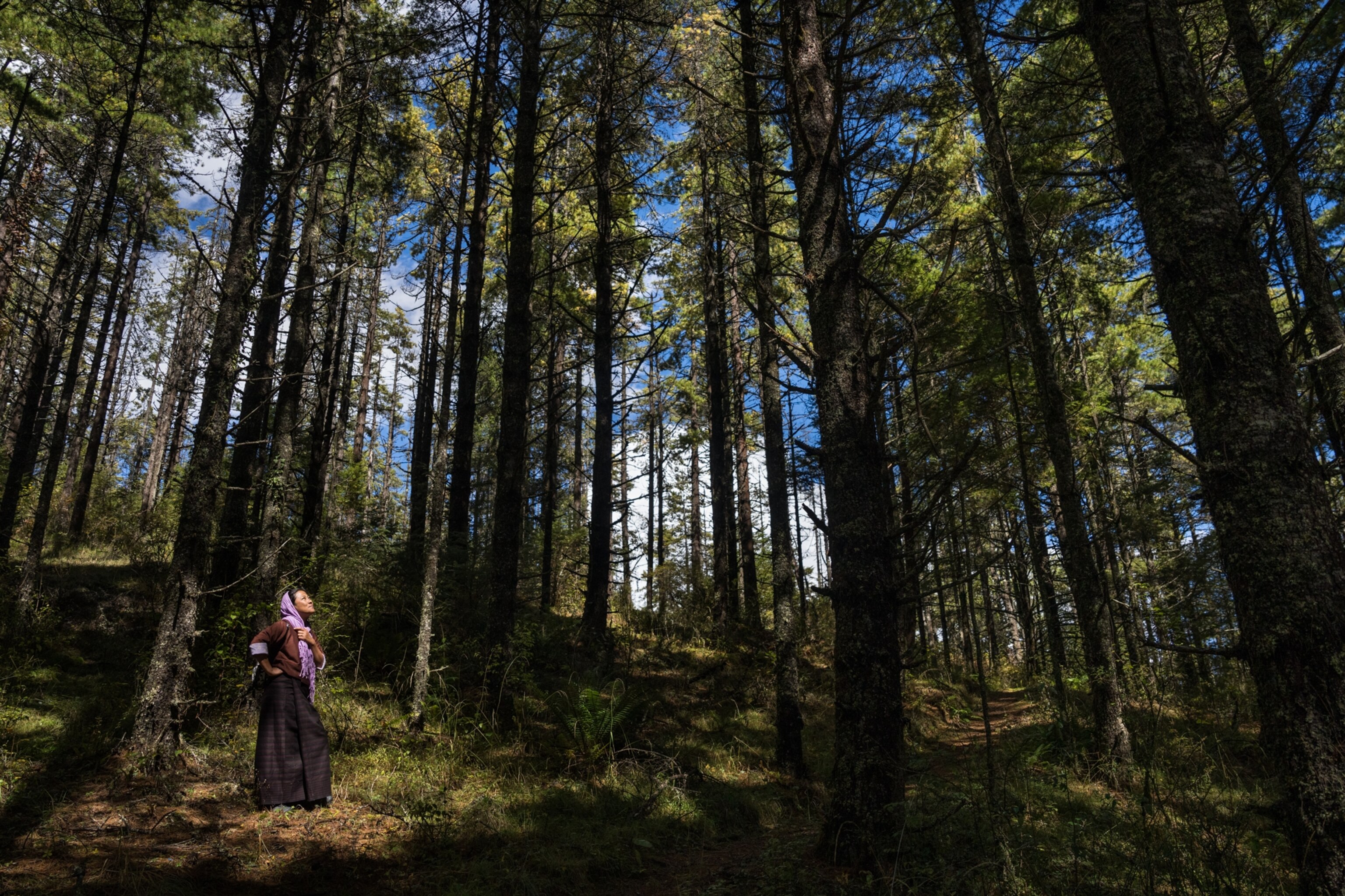 See the relentless beauty of Bhutan—a kingdom that takes happiness ...