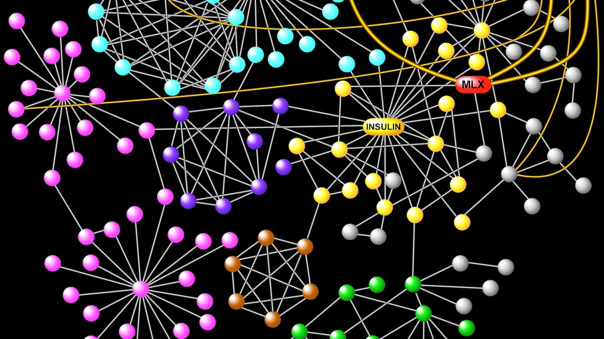 The Parts of Life | National Geographic