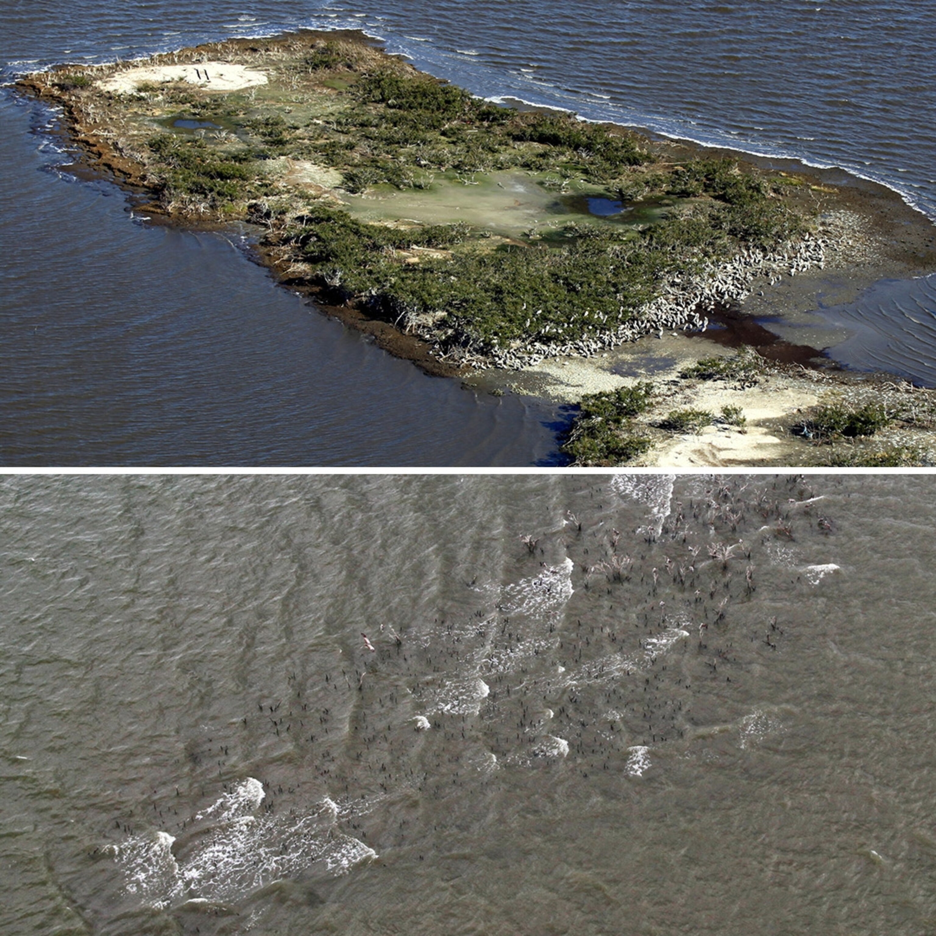 Gulf Spill's Effects Unknown For Years?
