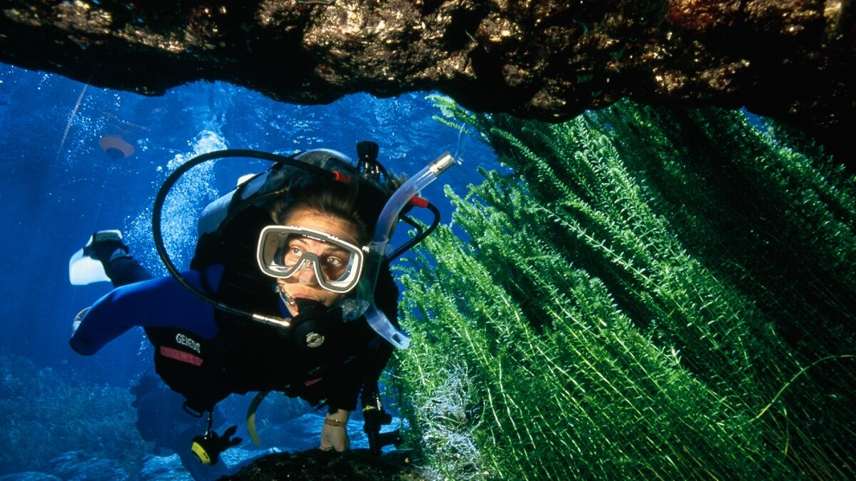 Superhuman Hearing Possible, Experiments Suggest | National Geographic