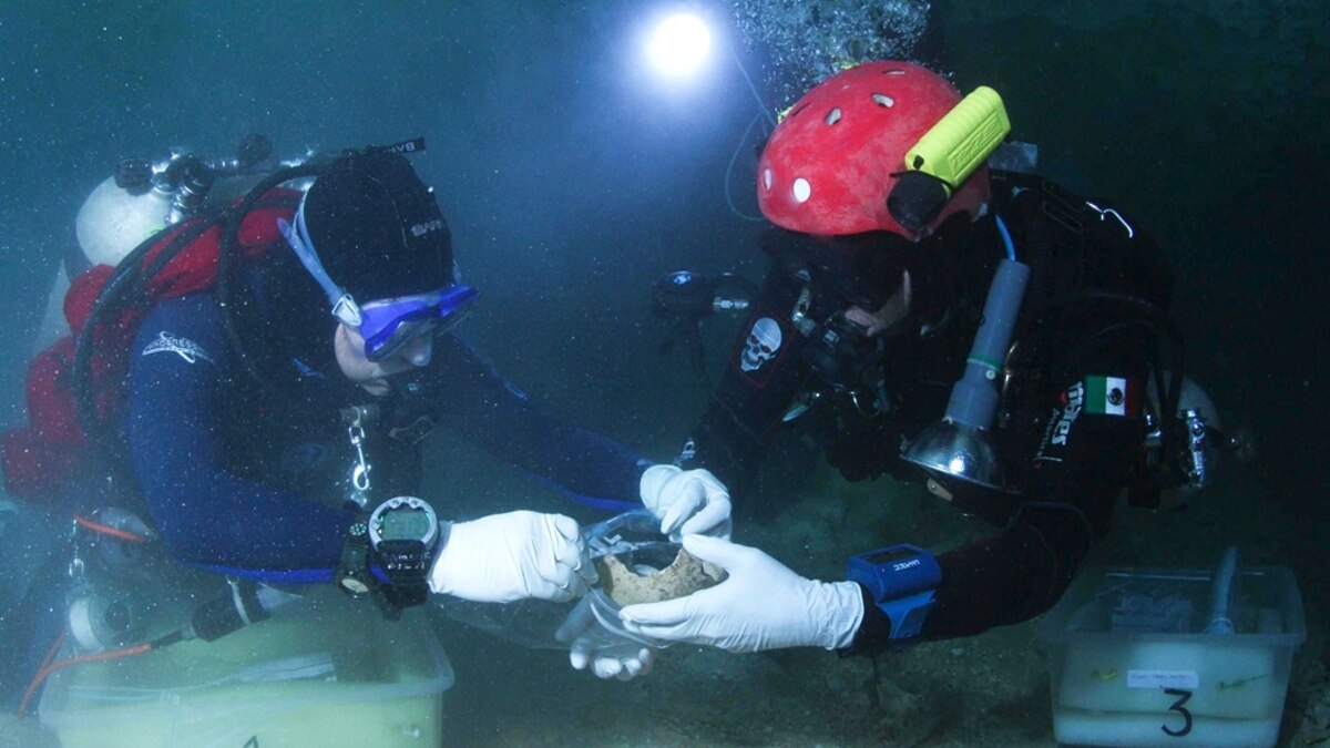 Pictures: Undersea Cave Yields Prehistoric Skeleton | National Geographic