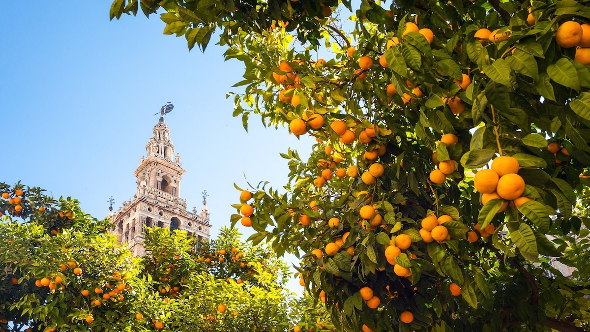 Where To Travel In April where-to-travel-in-april