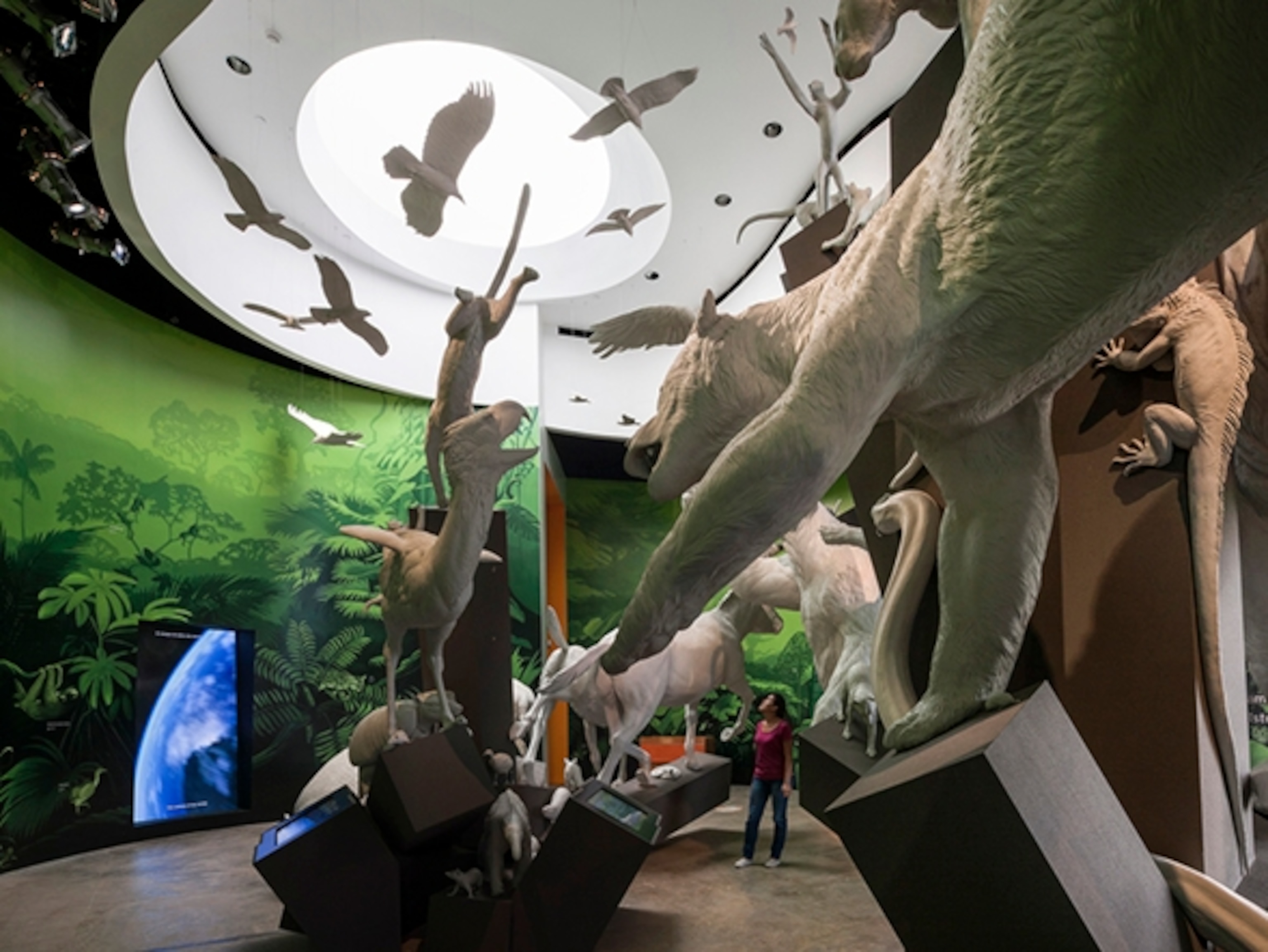 Look List: The Best New Museums