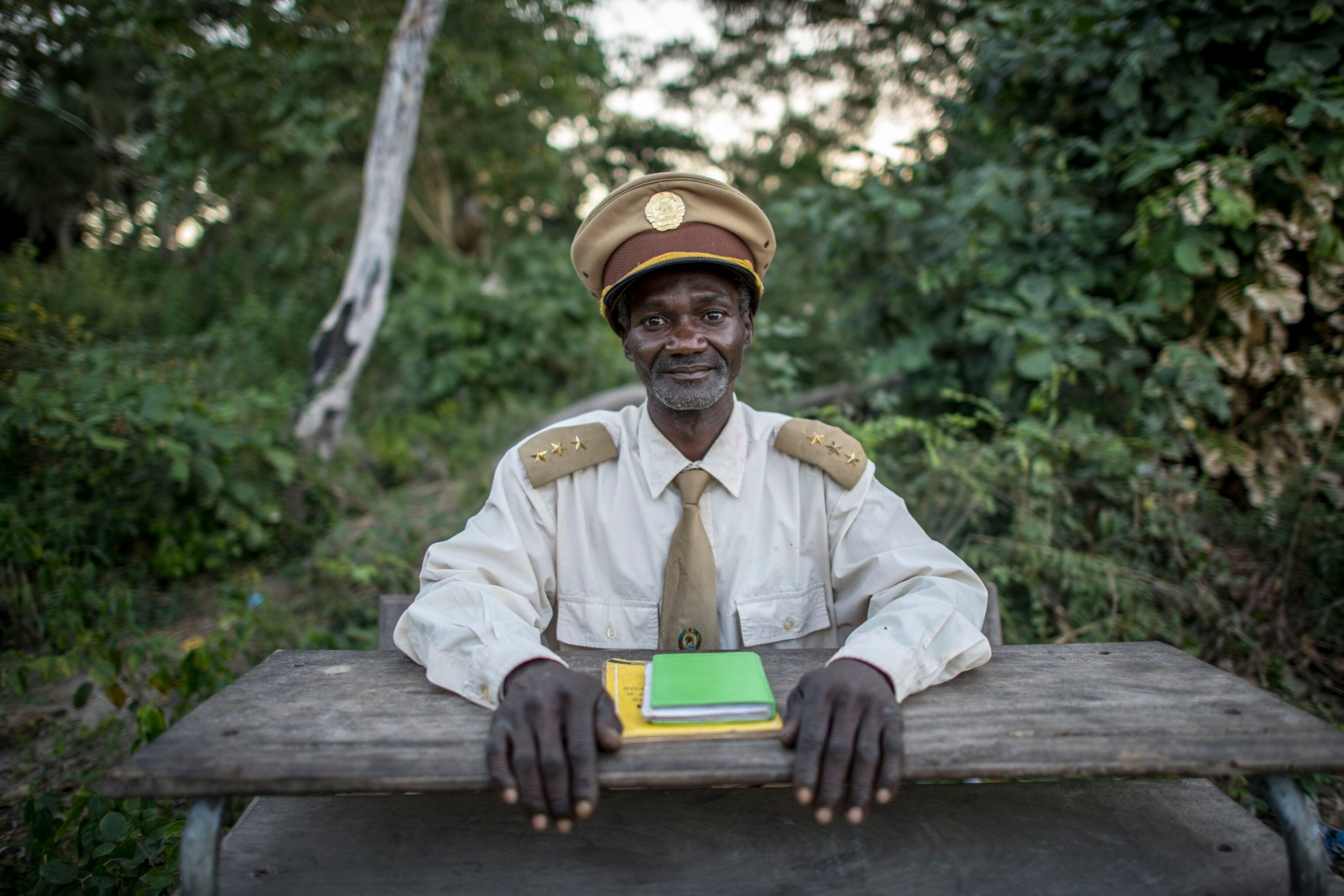 How the world’s largest lion relocation, from South Africa to Zimbabwe, was pulled off