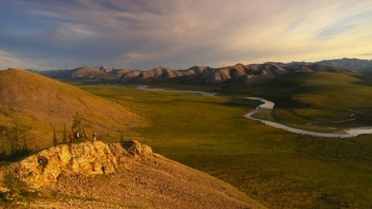 The Fast and The Delirious | National Geographic