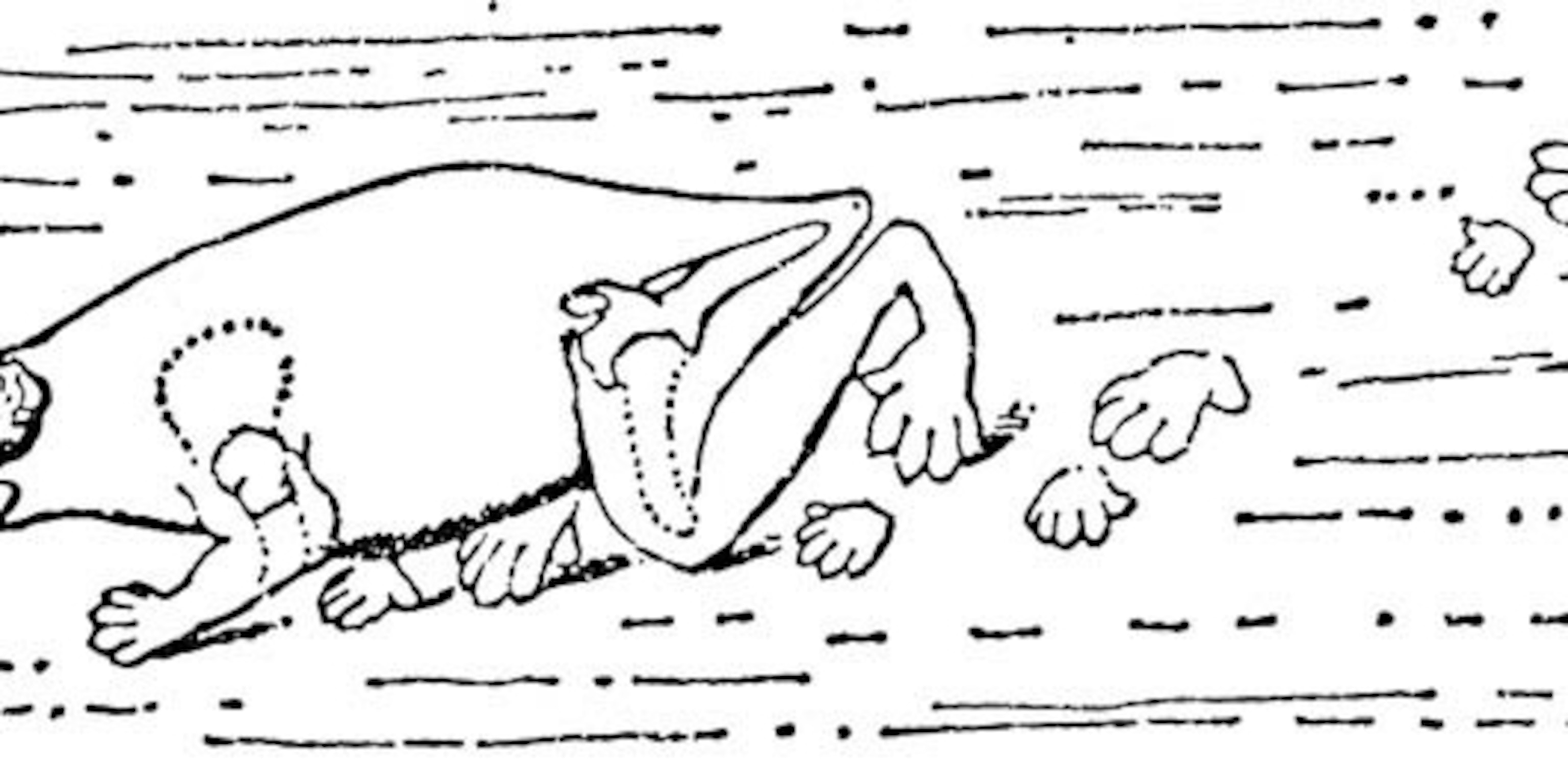 Conjuring Chirotherium