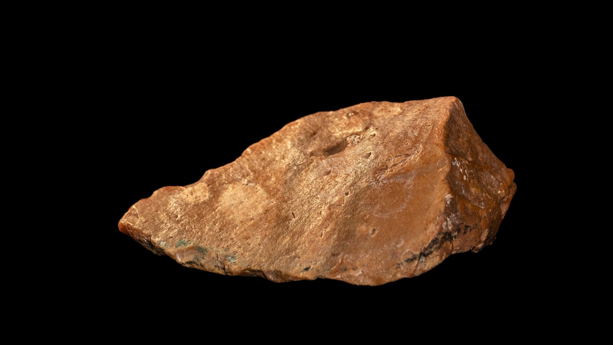 Did ancient ‘hobbit humans’ create these million-year-old tools ...