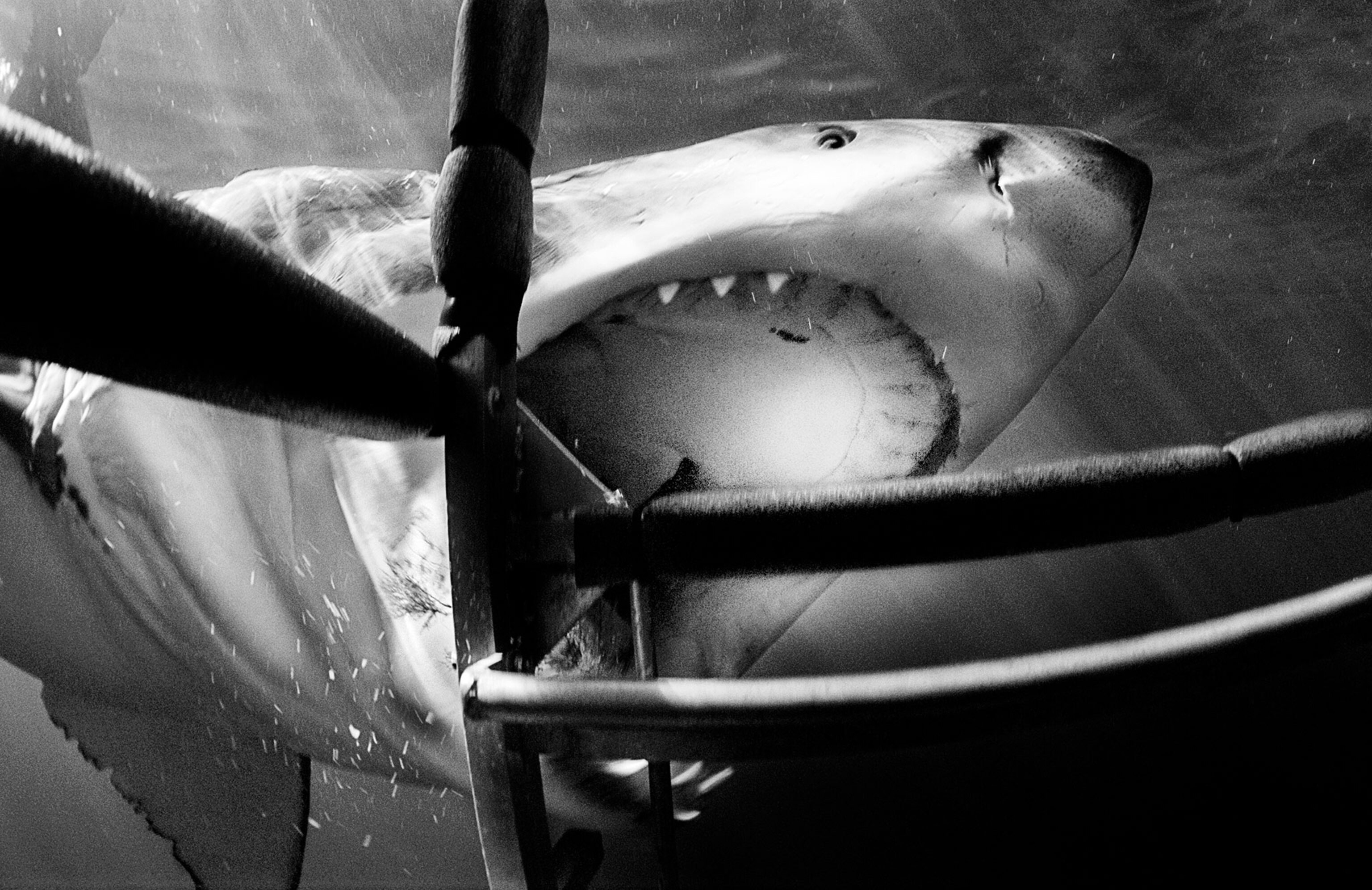 Archive Photos Show Dangerous Adventure Moments | National Geographic