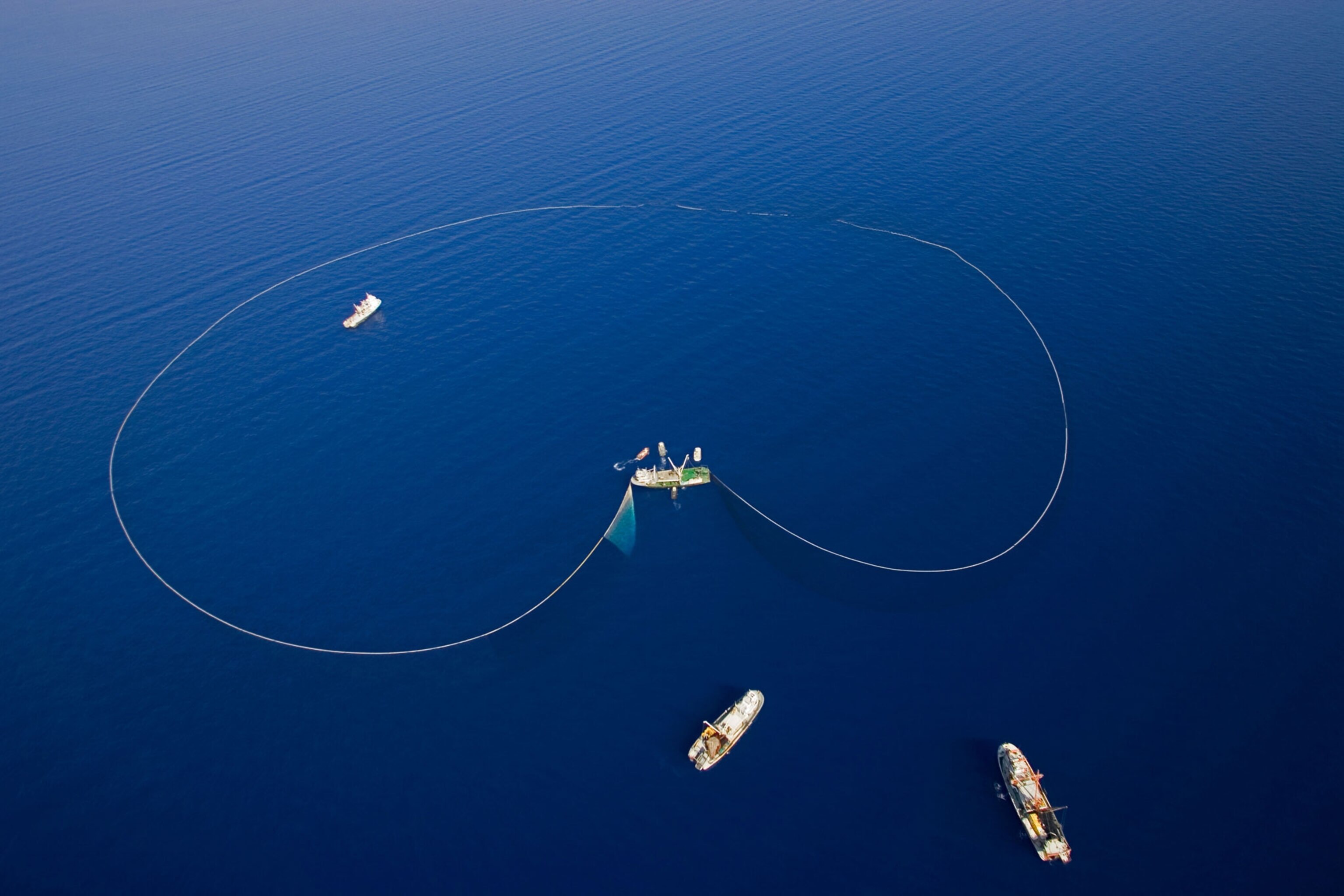 How ‘dolphin safe’ is canned tuna, really?